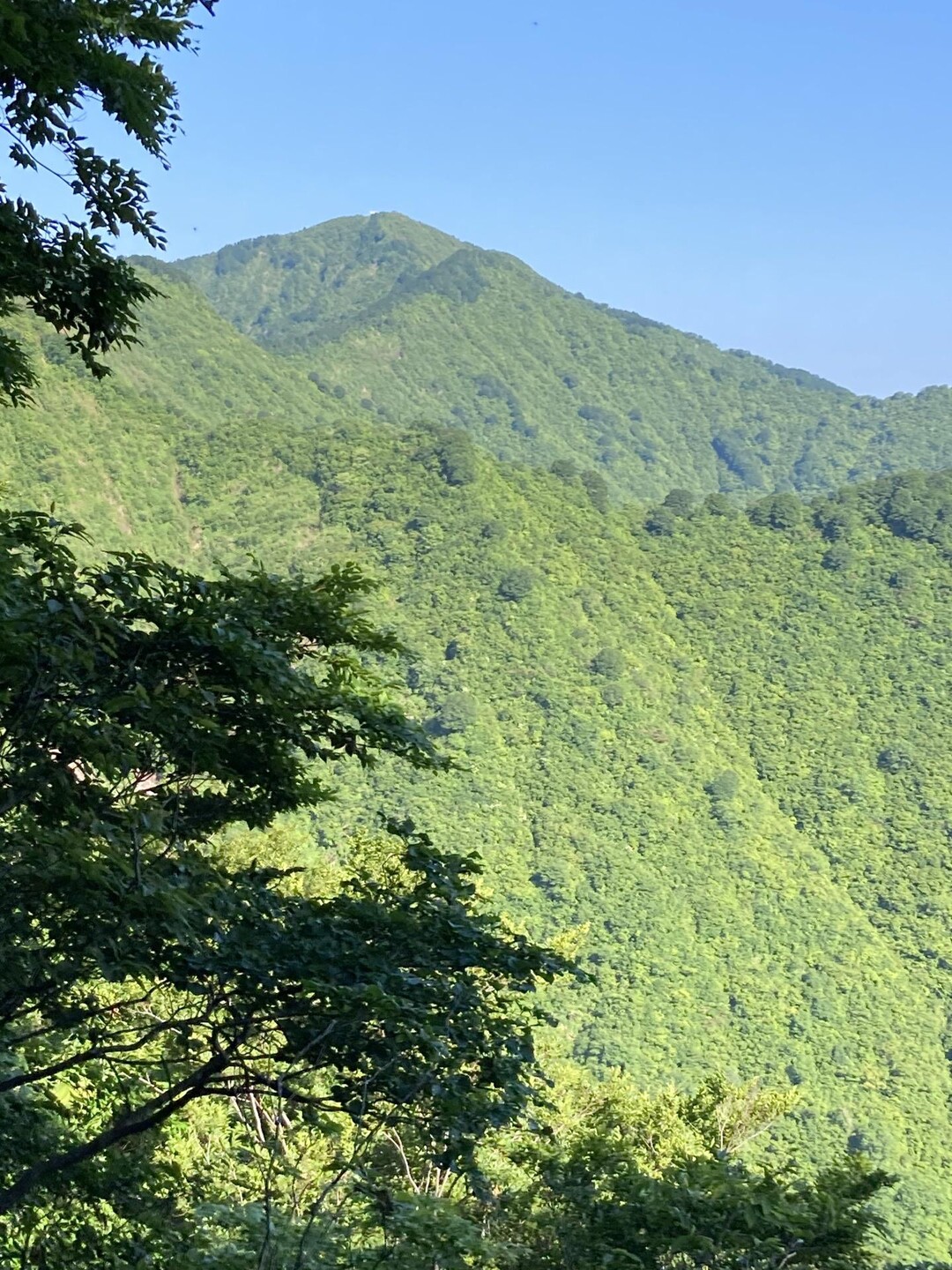 米山_小村峠から(野田コース) / mickey hoshinoさんの米山の活動データ | YAMAP / ヤマップ