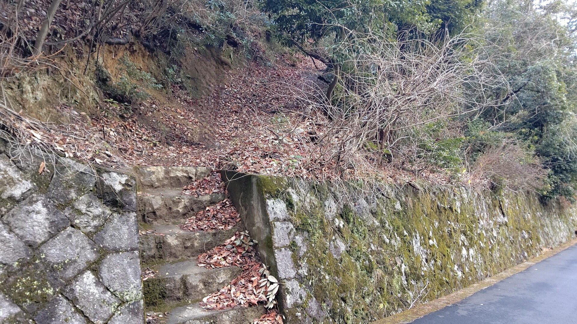 Minamiさんの投稿したフィールドメモ | YAMAP / ヤマップ