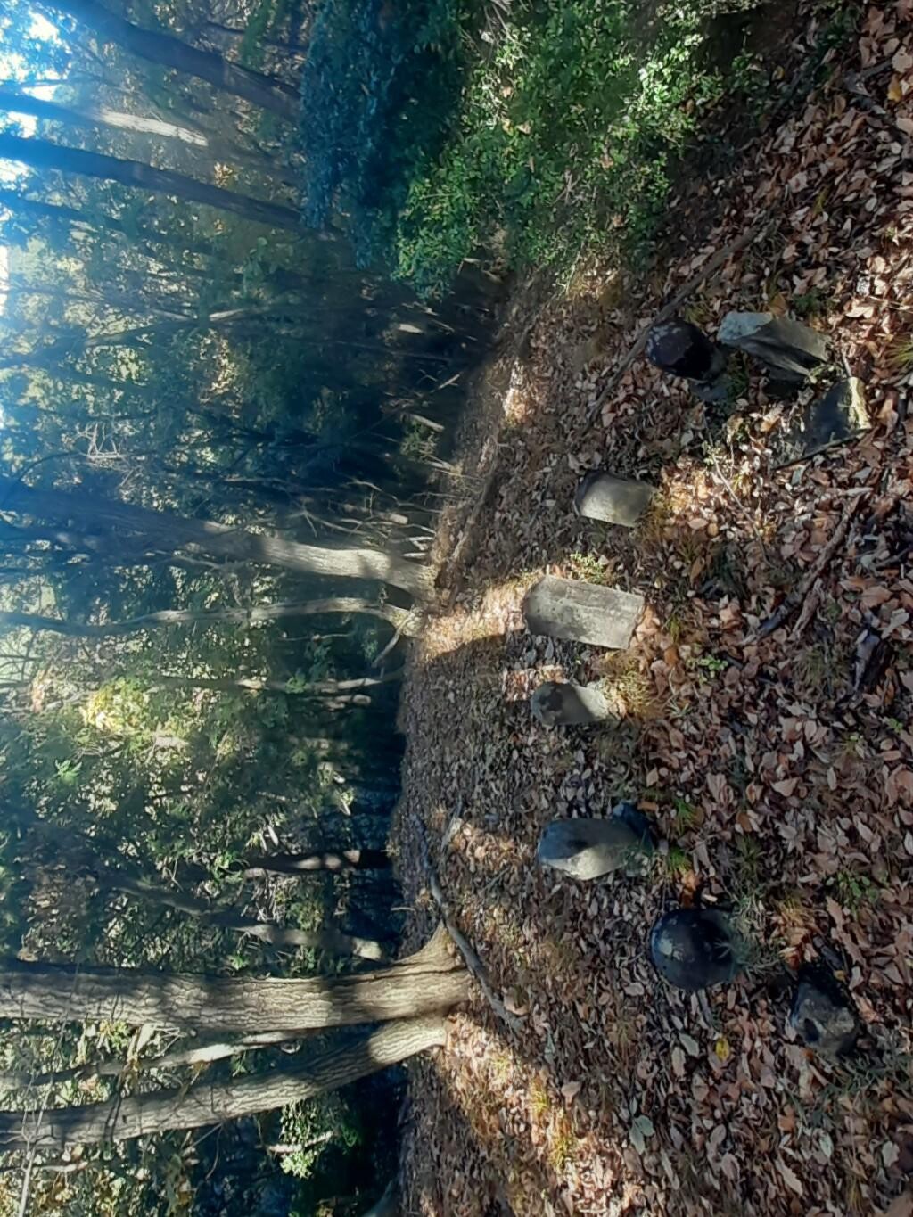 行道山 浄因寺 巻道の東屋の奥を少し歩... / マコスケさんのモーメント | YAMAP / ヤマップ
