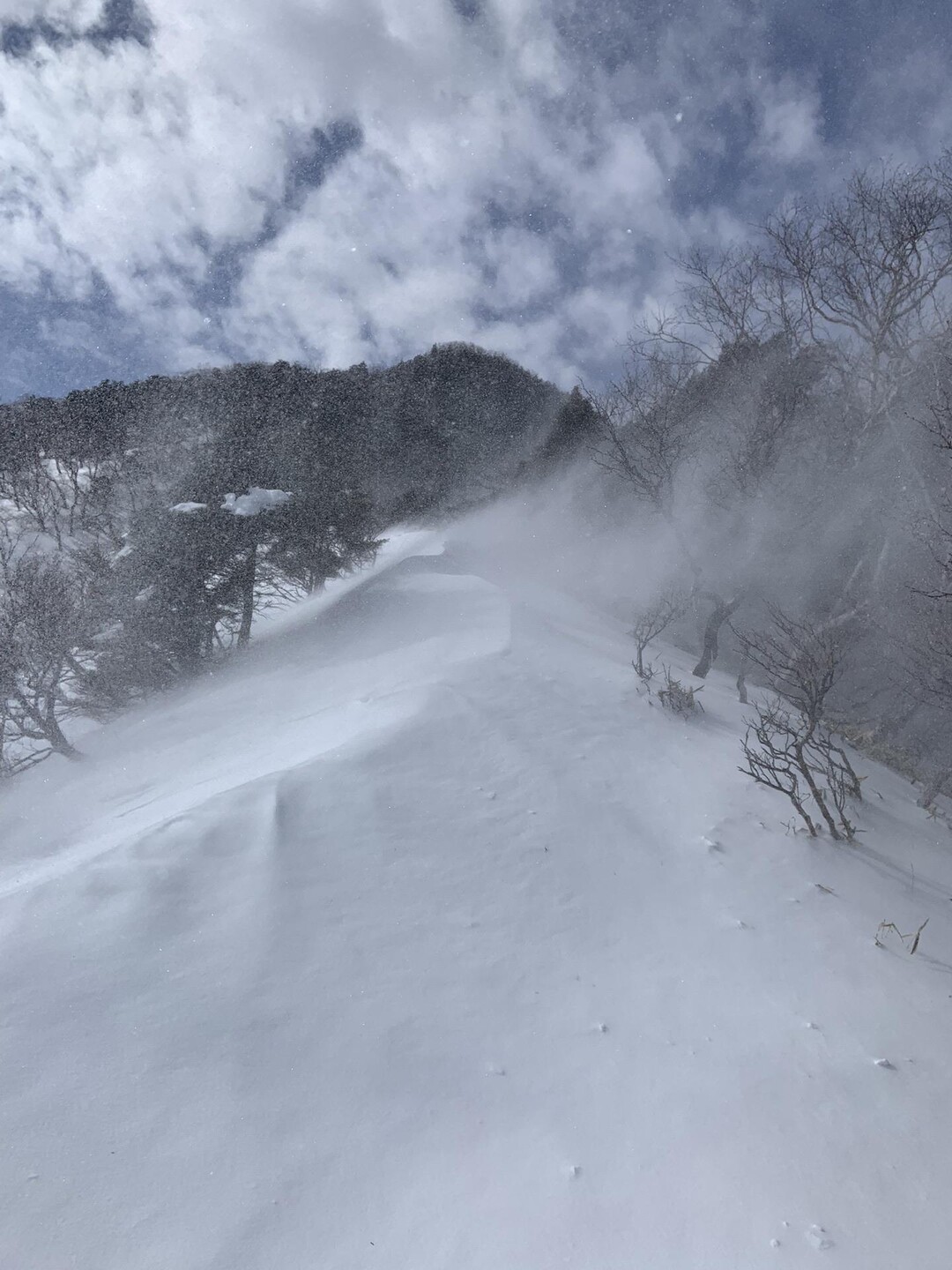 小丸山 爆風で赤薙山は断念💦 / mini.TMKさんの女峰山・赤薙山・大真名子山の活動データ | YAMAP / ヤマップ
