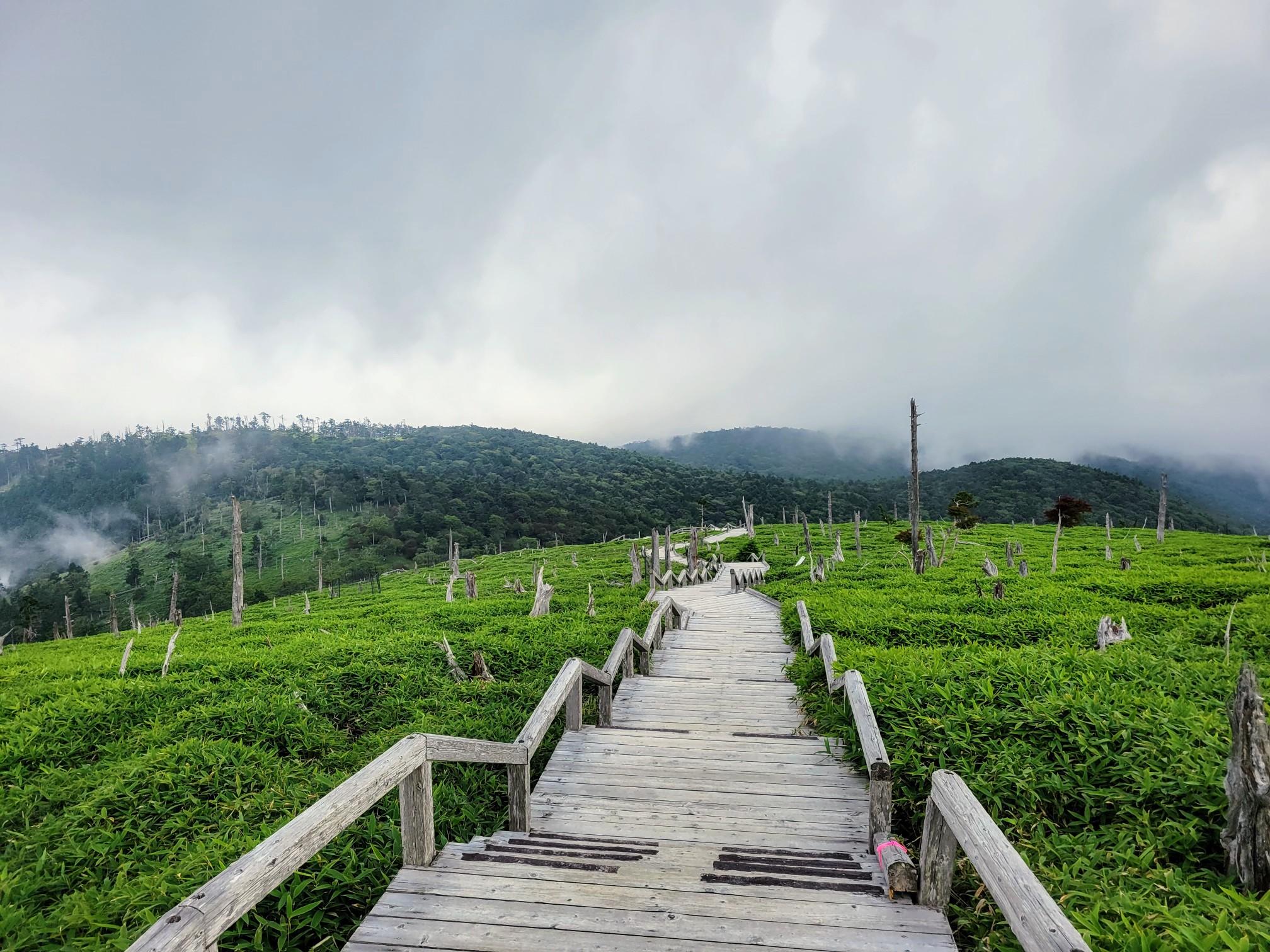 100名山⛰️大台ヶ原(日出ヶ岳)2025.8.9 / kaolinさんの大台ヶ原山・日出ヶ岳・大杉谷の活動データ | YAMAP / ヤマップ