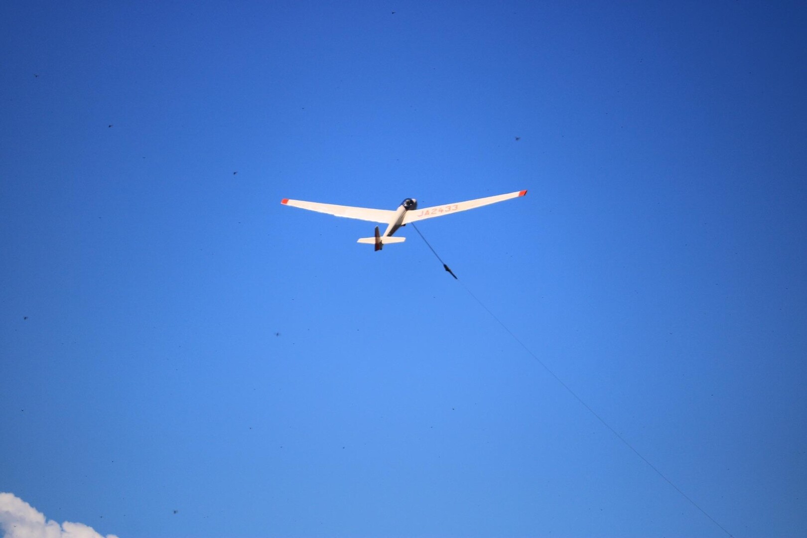 霧ヶ峰（車山） / k.yutaさんの霧ヶ峰・車山・大笹峰の活動データ | YAMAP / ヤマップ