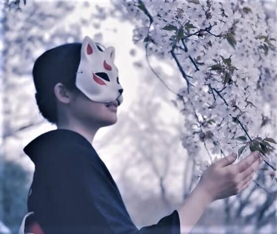 散りゆく桜🌸とともに.. 坂本🎹教授... / Ichi-genさんのモーメント | YAMAP / ヤマップ