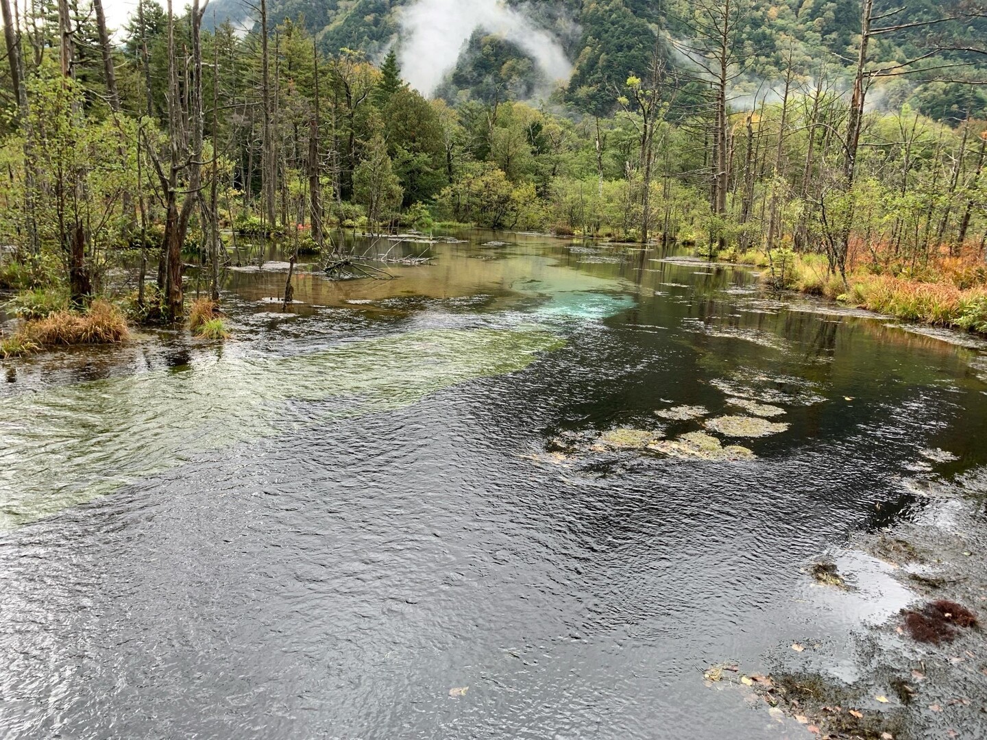 2024/10/7 (月)🌧️ 槍沢〜上高地 / kazeさんの槍ヶ岳・穂高岳・上高地の活動データ | YAMAP / ヤマップ