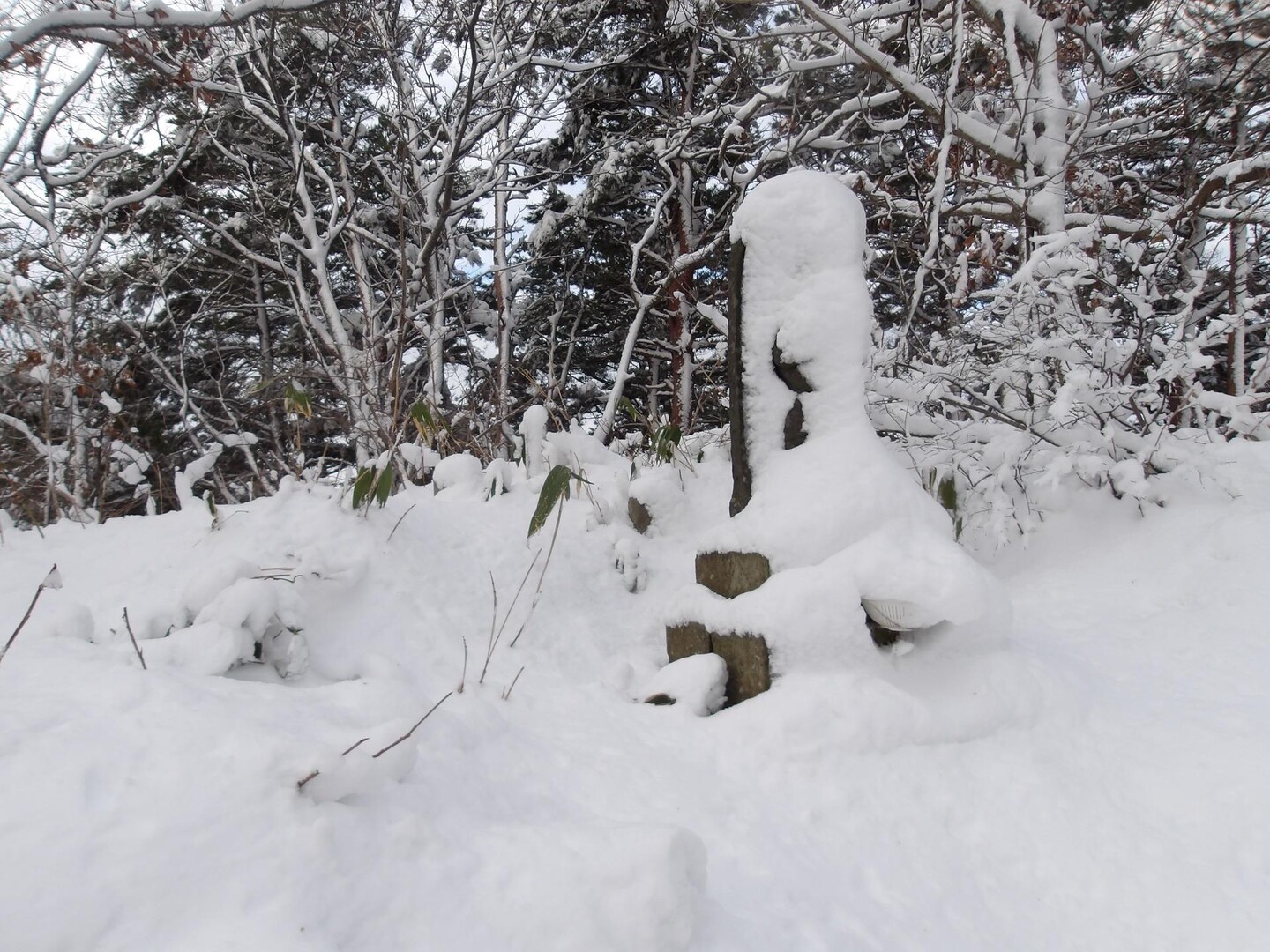 谷地山（青森市）※動画あり / スノー@ystさんの高森山・屋敷山の活動データ | YAMAP / ヤマップ