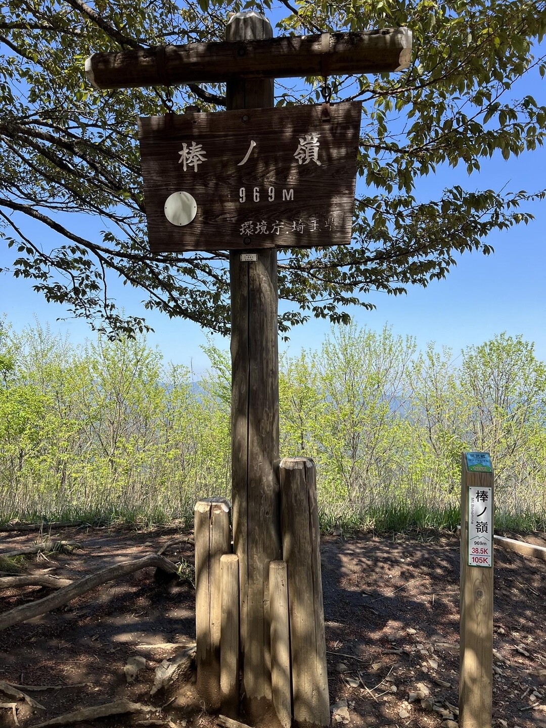 棒ノ嶺（棒ノ折山） / satokaさんの棒ノ折山（棒ノ嶺）の活動データ | YAMAP / ヤマップ