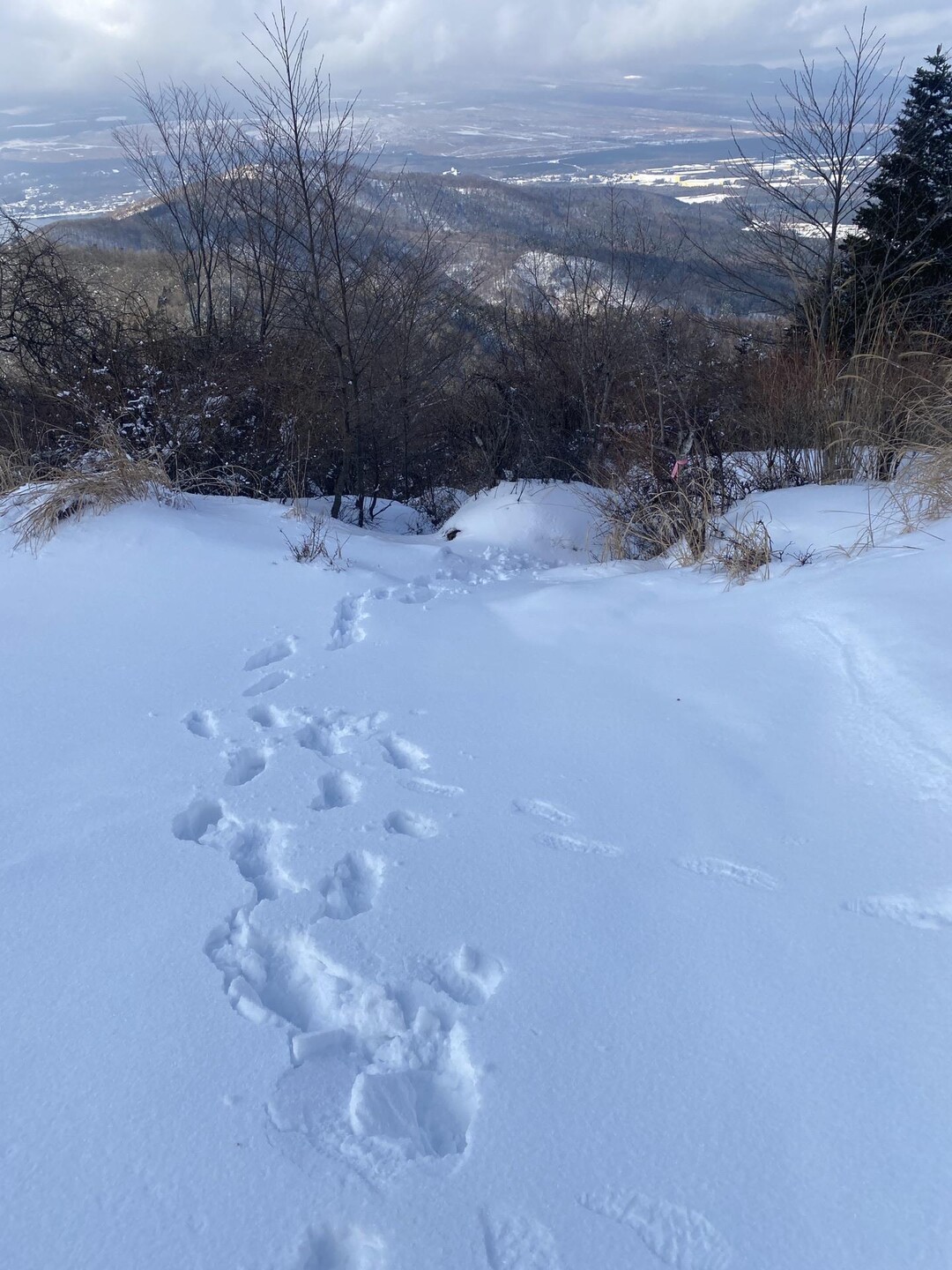 石割山 / yu!ch!さんの御正体山・杓子山・石割山の活動日記 | YAMAP / ヤマップ