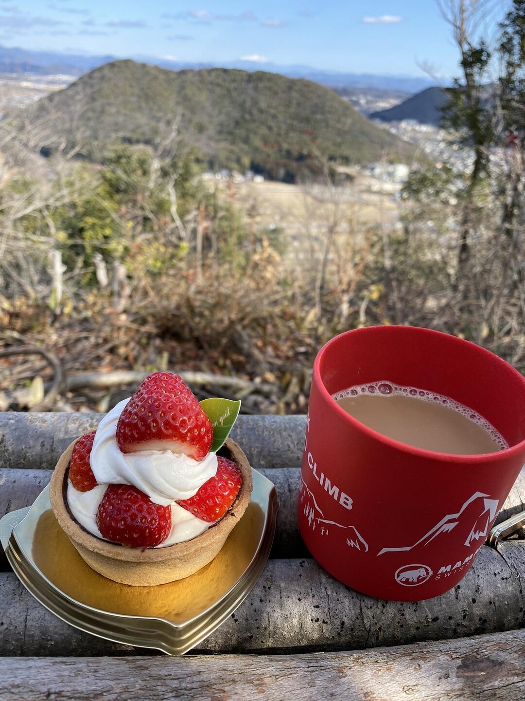 リベンジ金華山GT 鷹巣山・洞山・野一色権現山・三峰山・兎走山・岩田山・舟伏山・西山・金華山・岩戸山 / yumikoさんの金華山・洞山・舟伏山の活動データ | YAMAP / ヤマップ