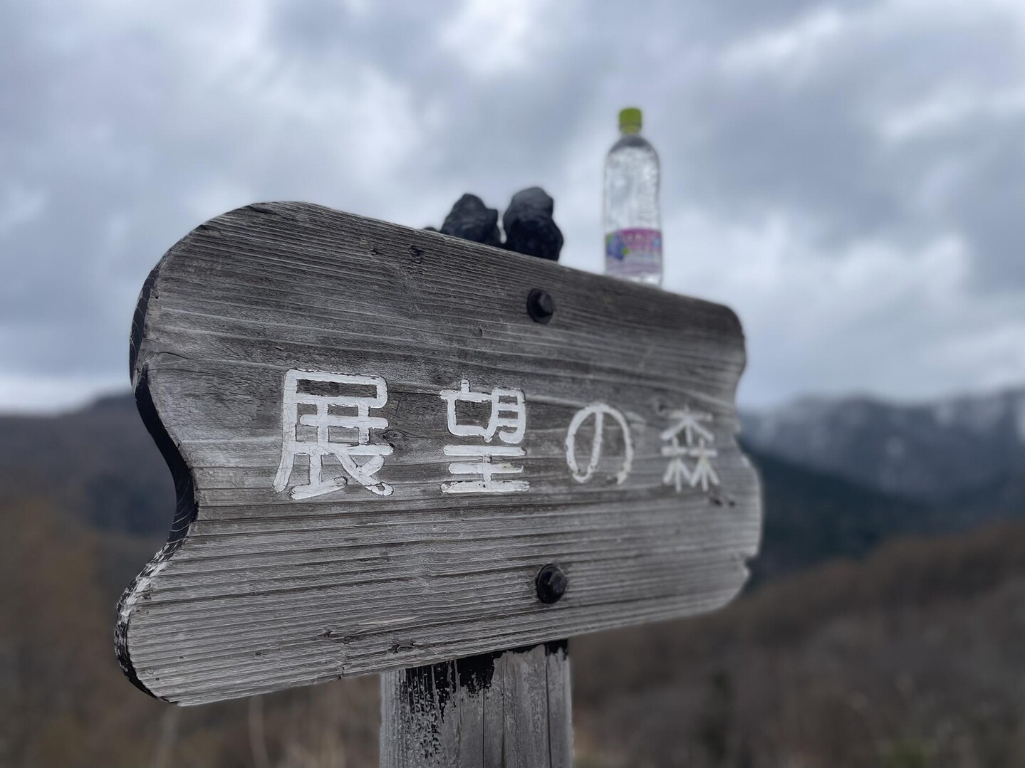 万字ズリ山 ️1️⃣4️⃣🌸まーだだょ / mii500さんの幌向岳・ズリ山の活動データ | YAMAP / ヤマップ