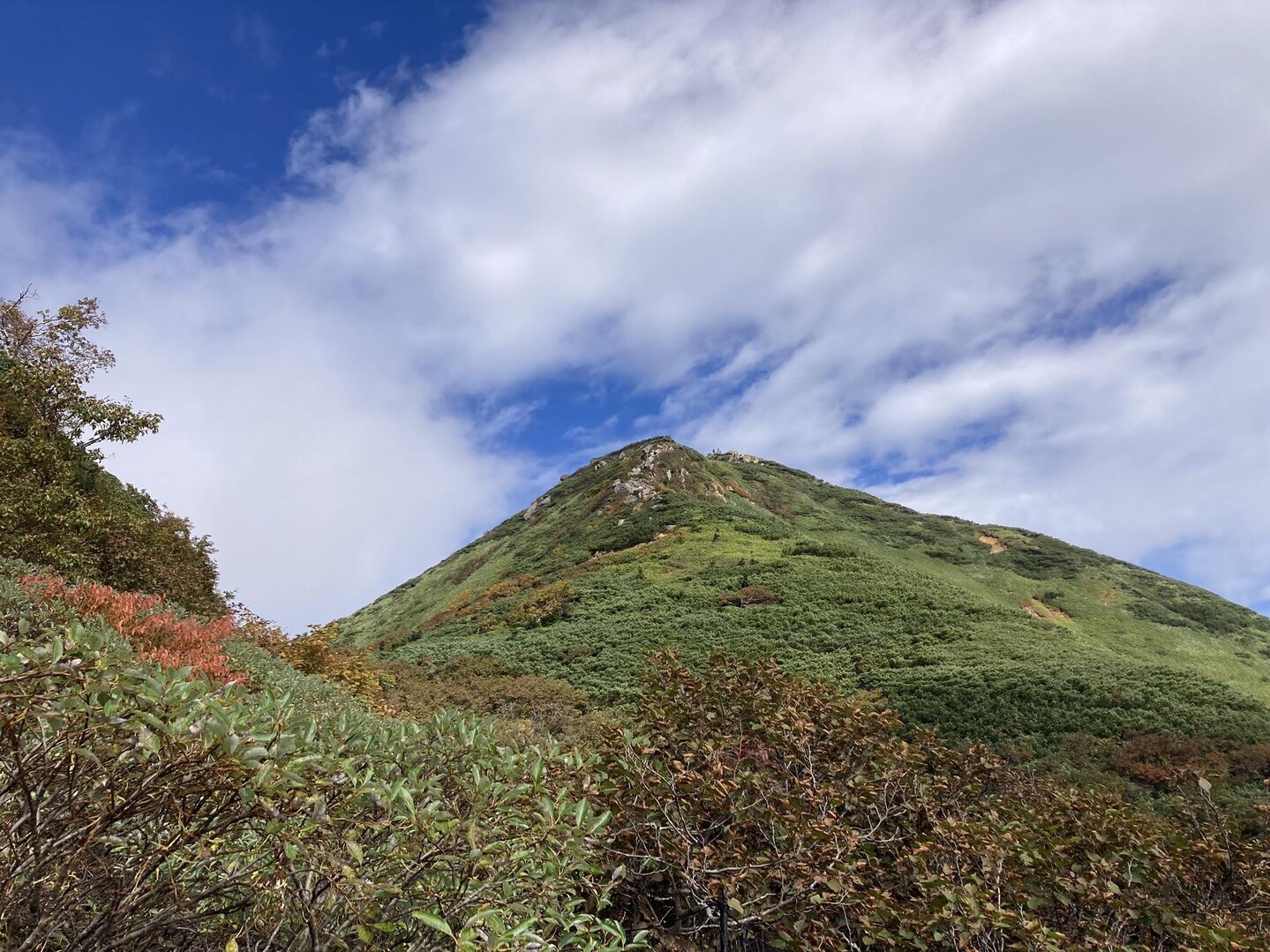 [15]燧ヶ岳（沼山峠〜御池） / Sh. OKTさんの尾瀬・燧ヶ岳の活動データ | YAMAP / ヤマップ