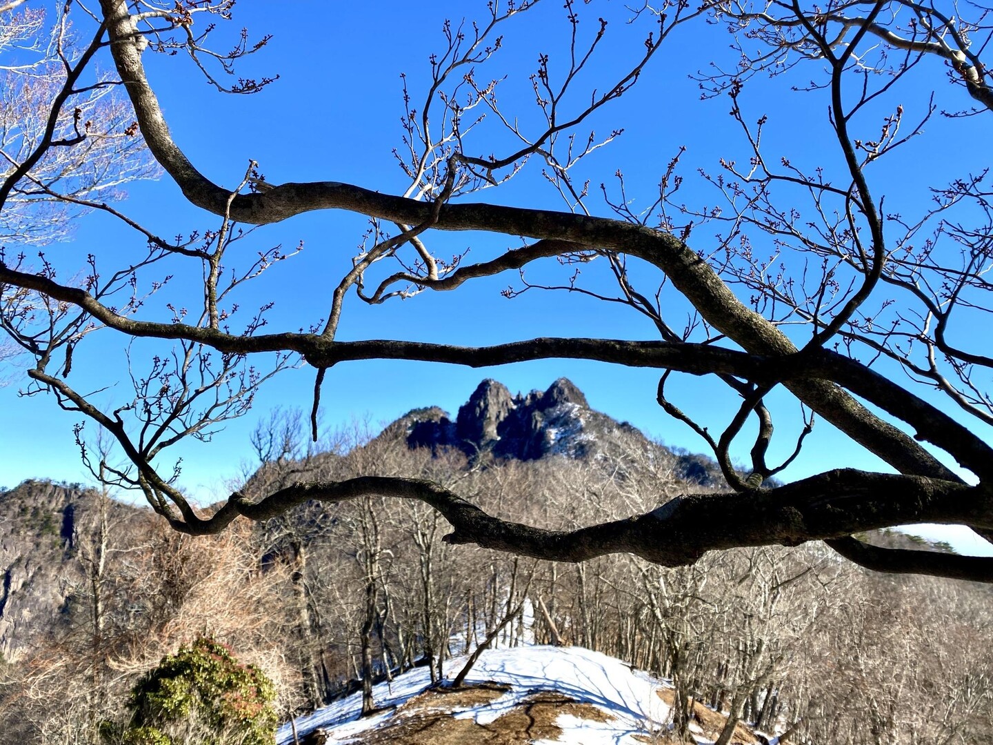 師走『傾山』に誘われて！ / ケムタク（Kemutaku）さんの傾山の活動データ | YAMAP / ヤマップ