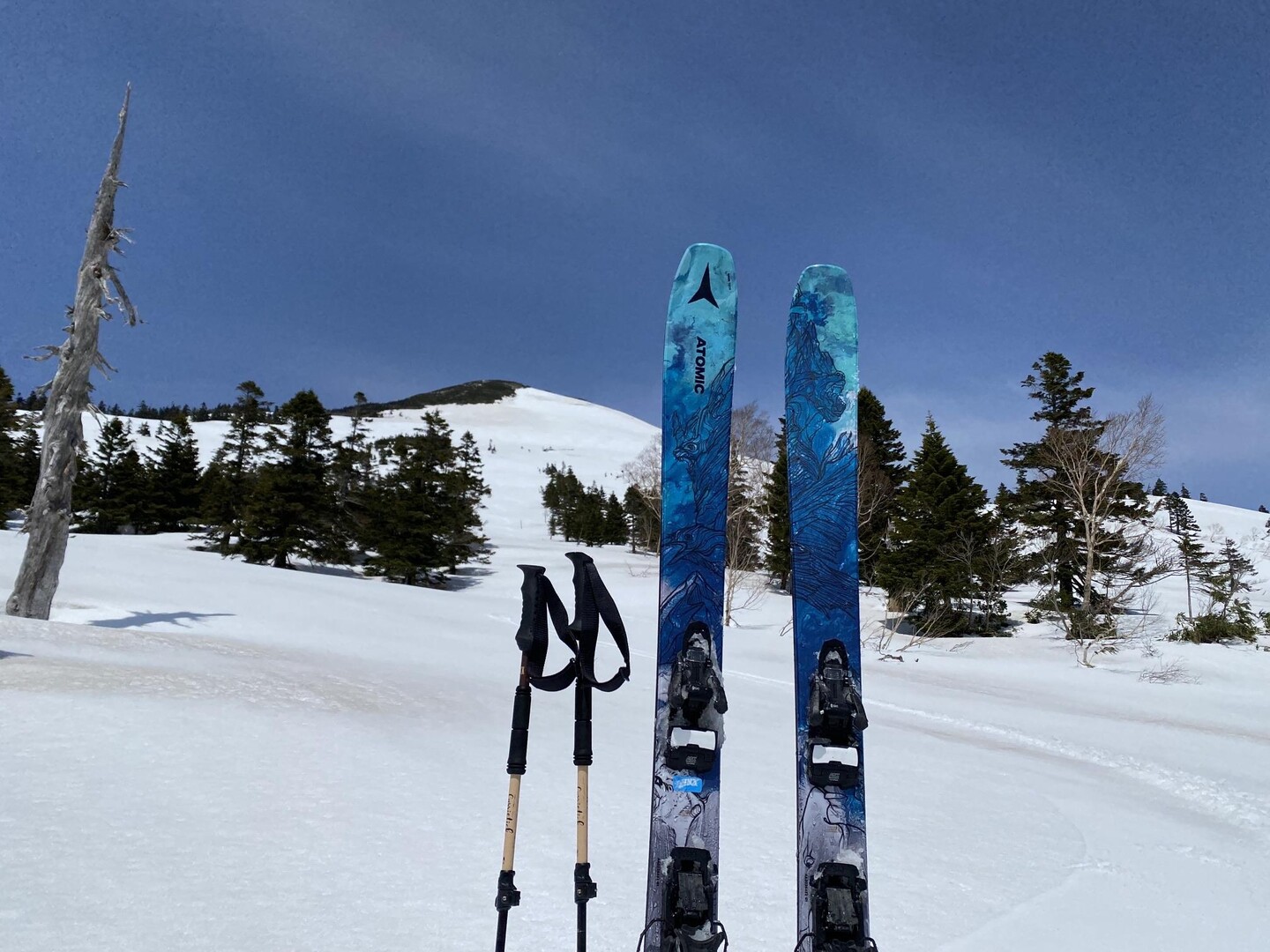 八甲田BC-小岳 / ko_daiさんの八甲田山・高田大岳・雛岳の活動データ | YAMAP / ヤマップ