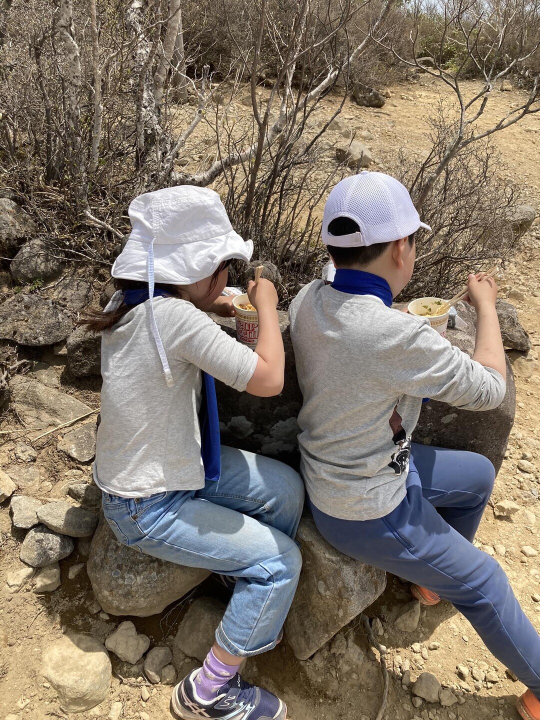 カップヌードルで鯉のぼり（三角山・泉ヶ岳） / OBsunさんの船形山（御所山）・泉ヶ岳・蛇ヶ岳の活動データ | YAMAP / ヤマップ