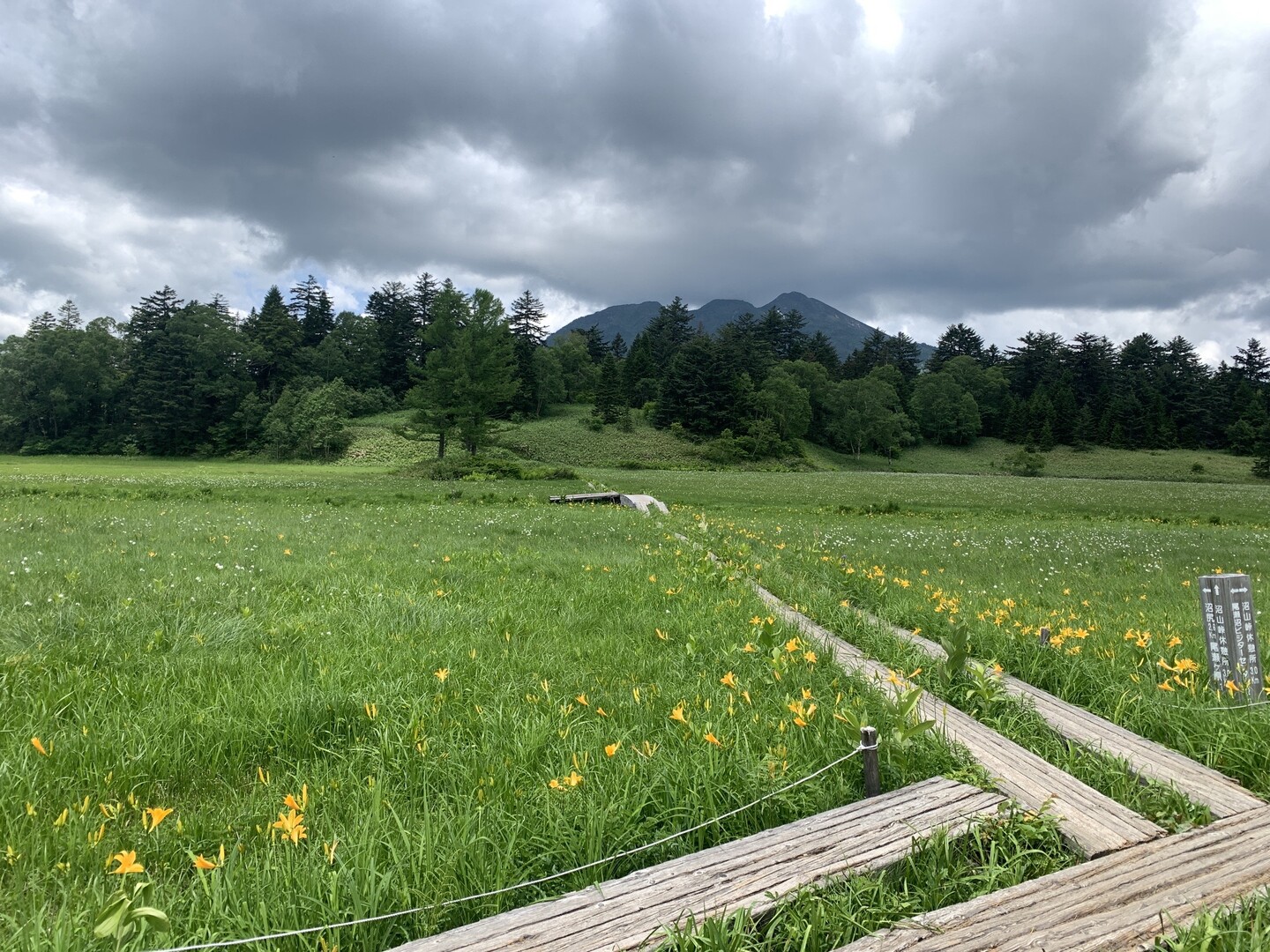 尾瀬沼までGO!! / さやか ̈⃝さんの尾瀬・燧ヶ岳の活動データ | YAMAP / ヤマップ