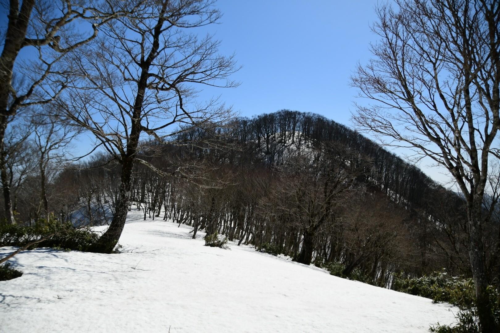 50th Anniversaryは高倉・くらますで雪山遊び…? / you1 さんの三室山・空山の活動データ | YAMAP / ヤマップ