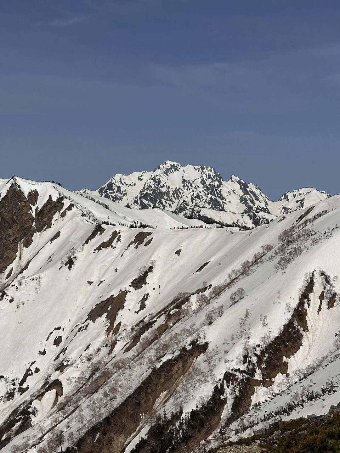 冬季限定の爺ヶ岳(南峰・中峰) / むぅ子さんの鹿島槍ヶ岳・五竜岳（五龍岳）・唐松岳の活動データ | YAMAP / ヤマップ