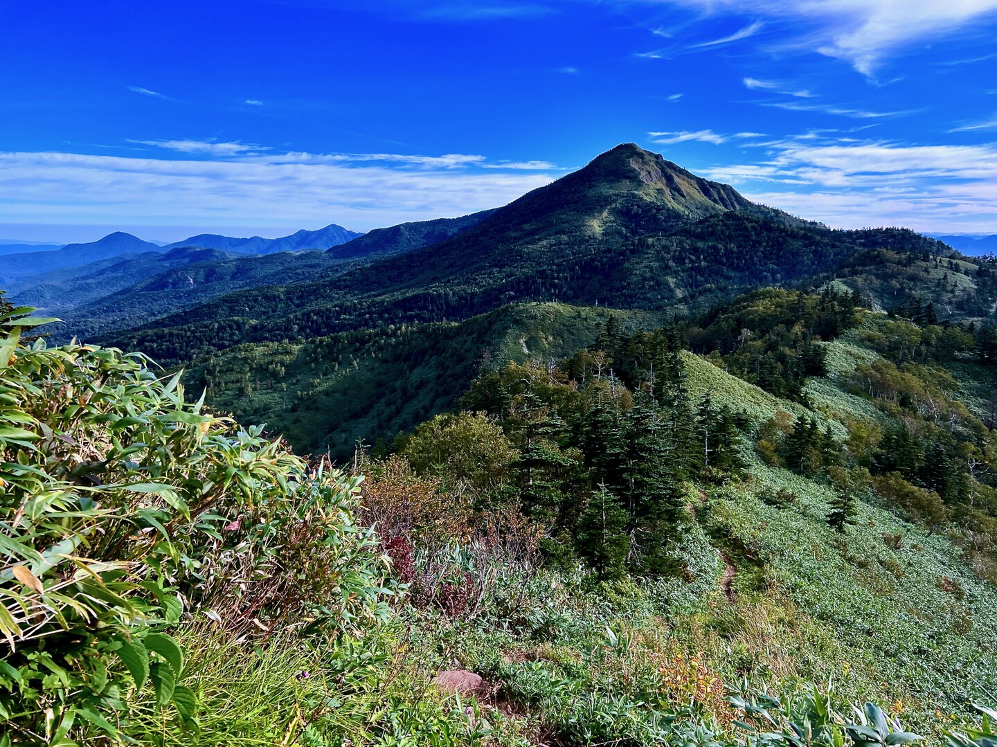 志賀の名峰・岩菅山 / George-Mさんの岩菅山・寺小屋峰の活動データ | YAMAP / ヤマップ