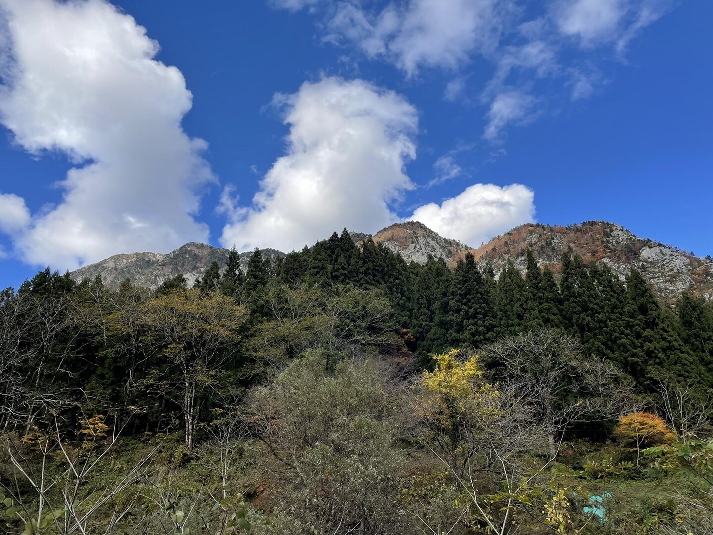 紅葉🍁は最高なのに、ヘロヘロな明星山でも仲間は最高⛰ / whaleさんの明星山の活動データ | YAMAP / ヤマップ