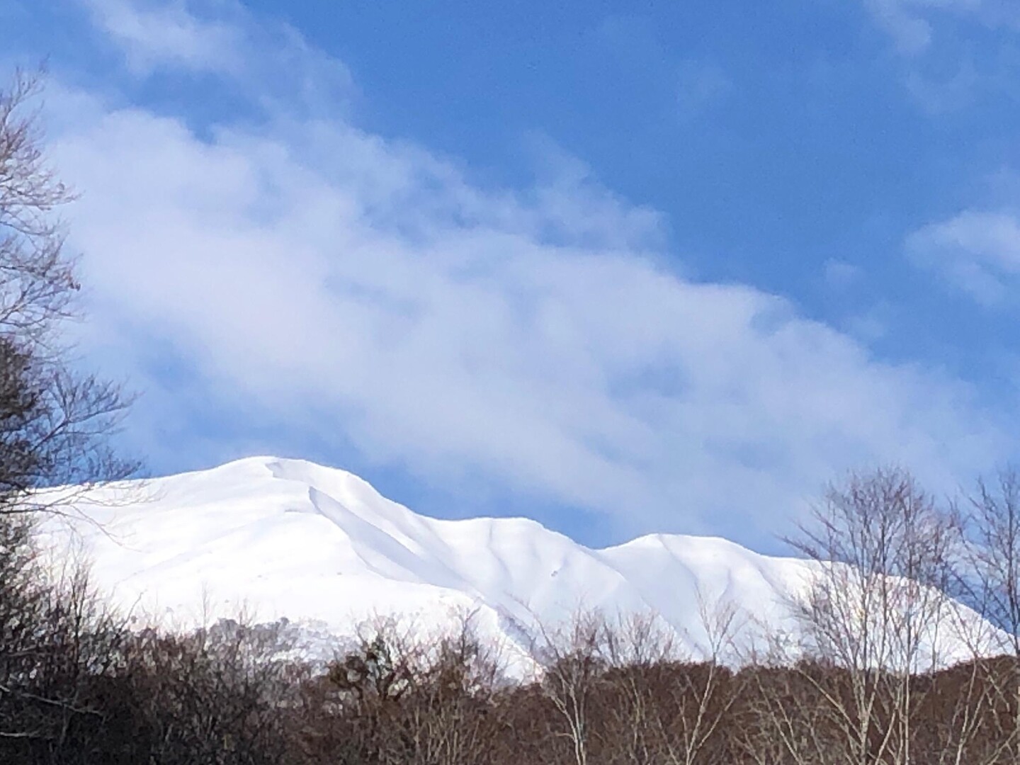 弓張平BCビーコントレ雪イグルー / みぃーさんのモーメント | YAMAP / ヤマップ