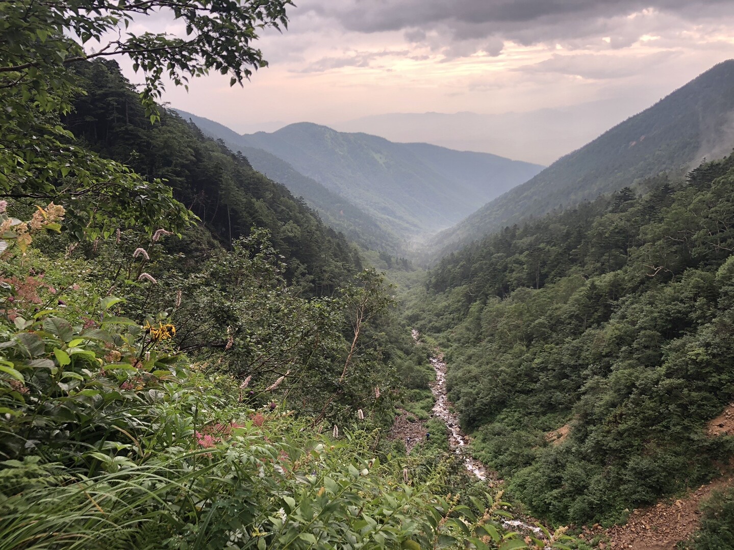 常念岳 / Traciさんの常念岳・大天井岳・燕岳の活動データ | YAMAP / ヤマップ