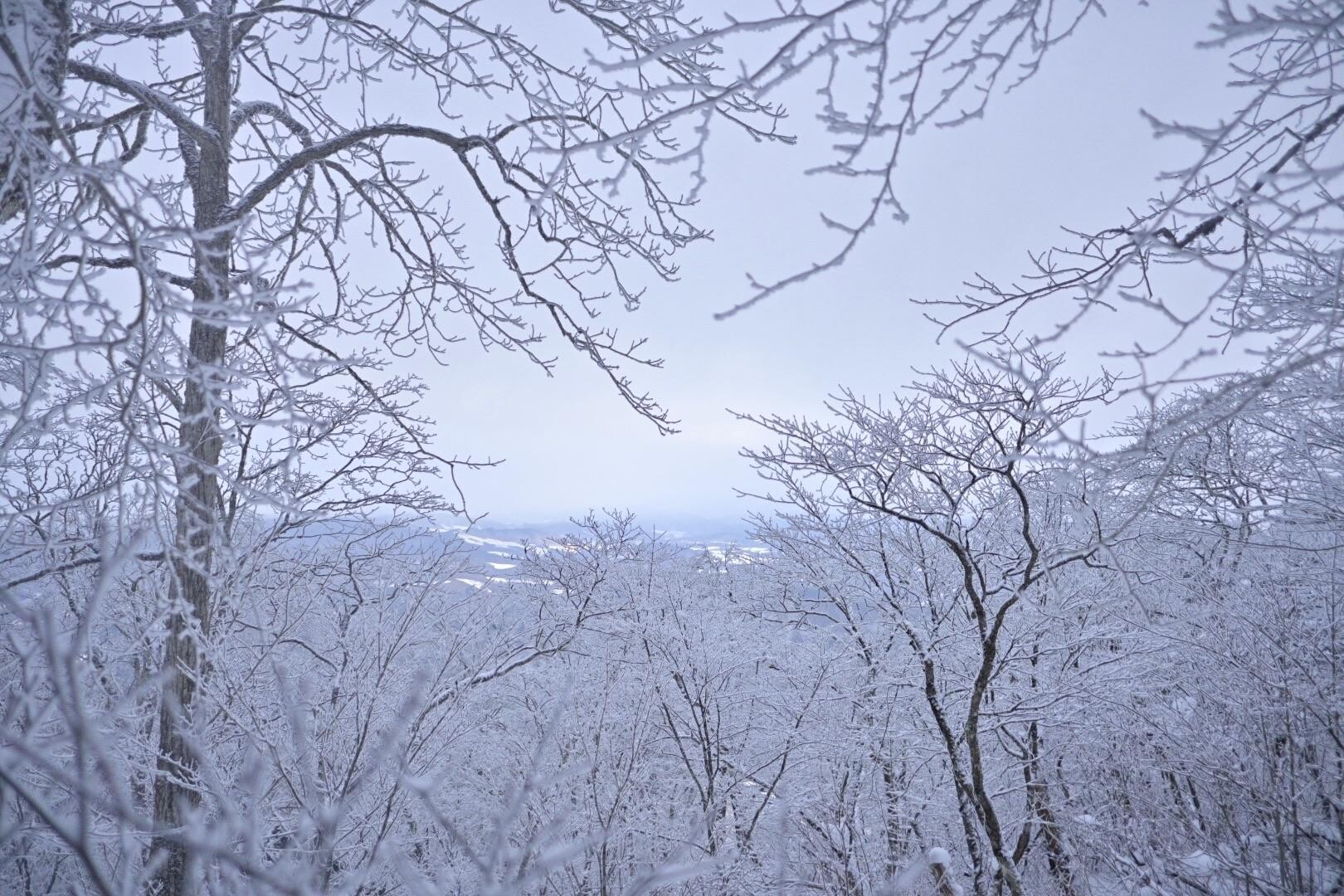 朝駆け登山姫神山(一本杉〜コワ坂) / me_holicさんの姫神山の活動データ | YAMAP / ヤマップ