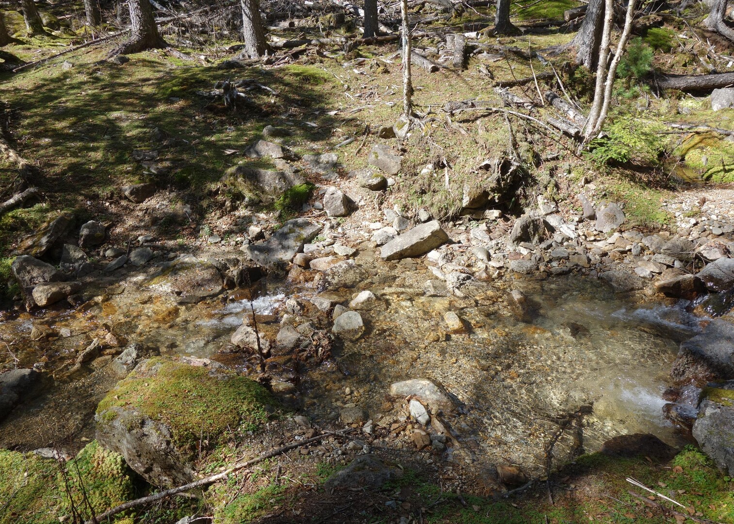 wtaxus（わたくさす）さんの投稿したフィールドメモ | YAMAP / ヤマップ