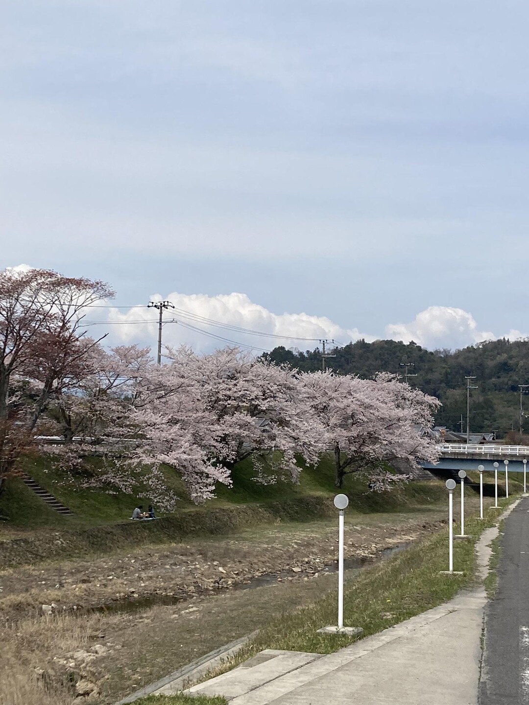我が家の山開き😀ホームの金勝アルプスで早めの準備！ / きんちゃんさんの金勝アルプス（鶏冠山・竜王山）の活動データ | YAMAP / ヤマップ