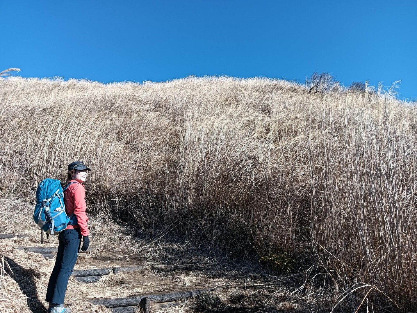 西丹沢 大野山 畦ヶ丸に行く予定が、乗る... / sugar marchさんのモーメント | YAMAP / ヤマップ