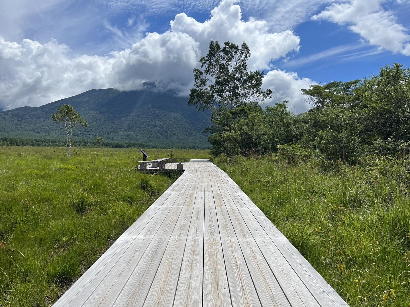 奥日光 滝巡り&湿原歩きへ🐾 / hachacha-umemeさんの日光白根山・五色山・錫ヶ岳の活動データ | YAMAP / ヤマップ