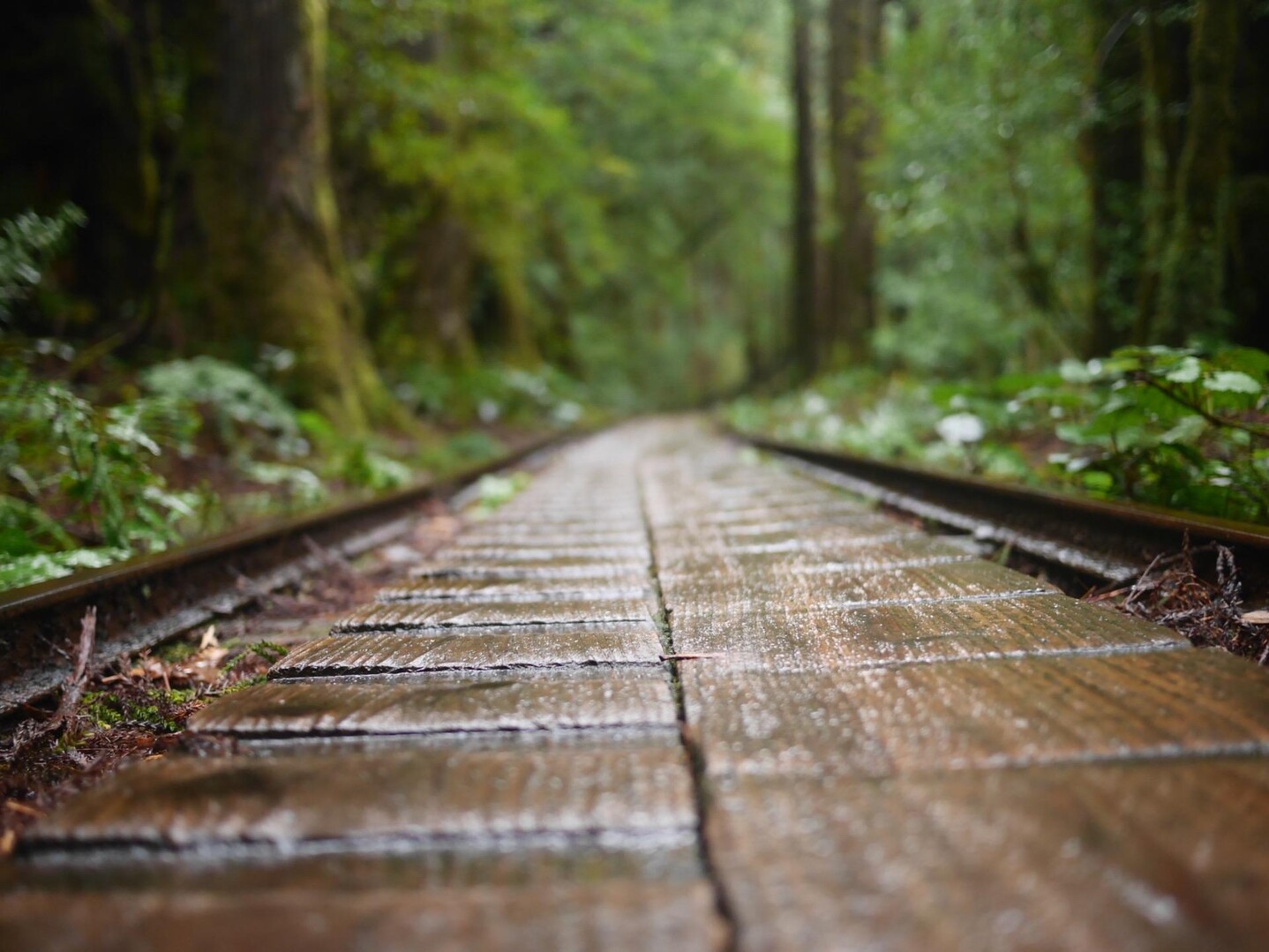 屋久島・宮之浦岳-2022-10-15 / ayaさんの屋久島・宮之浦岳の活動データ | YAMAP / ヤマップ