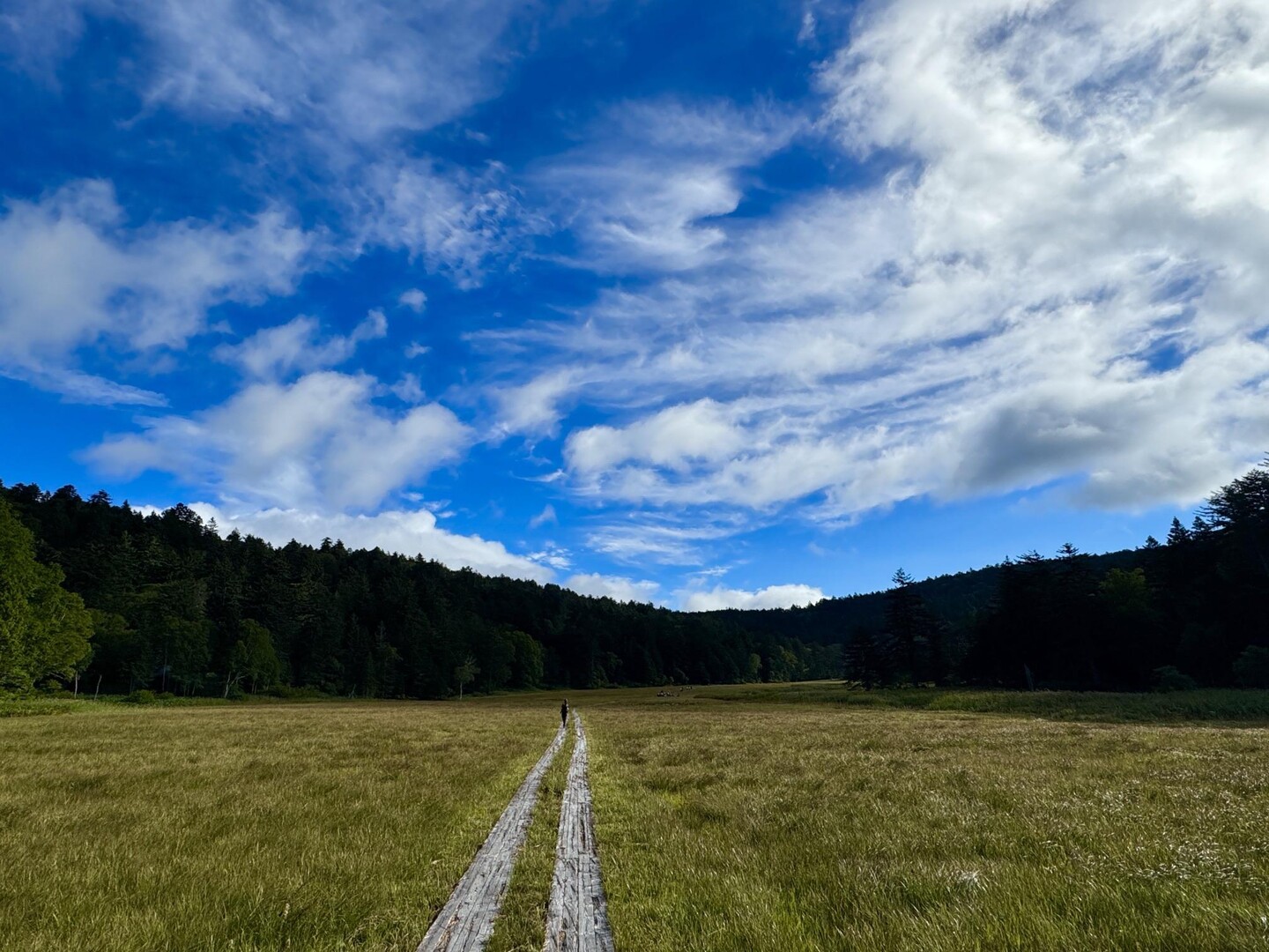 尾瀬沼と燧ヶ岳（柴安嵓） / hiro:nさんの尾瀬・燧ヶ岳の活動データ | YAMAP / ヤマップ