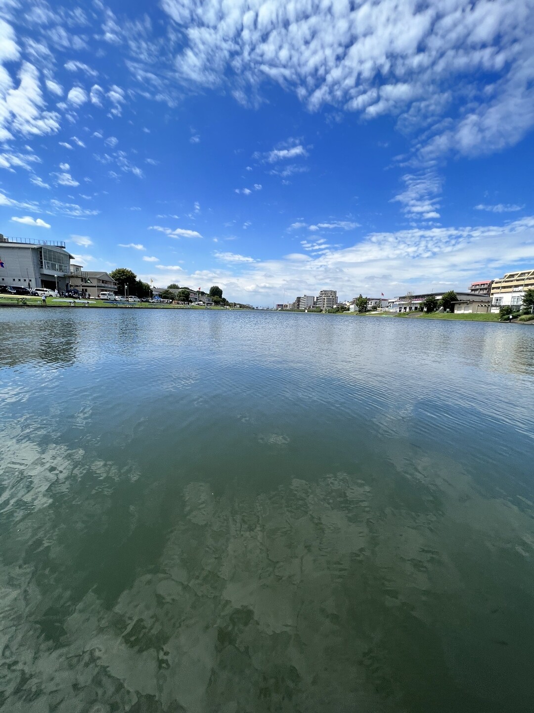 天気も良いしチャリで散歩して 友達の様子... / Yan (仙人)さんのモーメント | YAMAP / ヤマップ