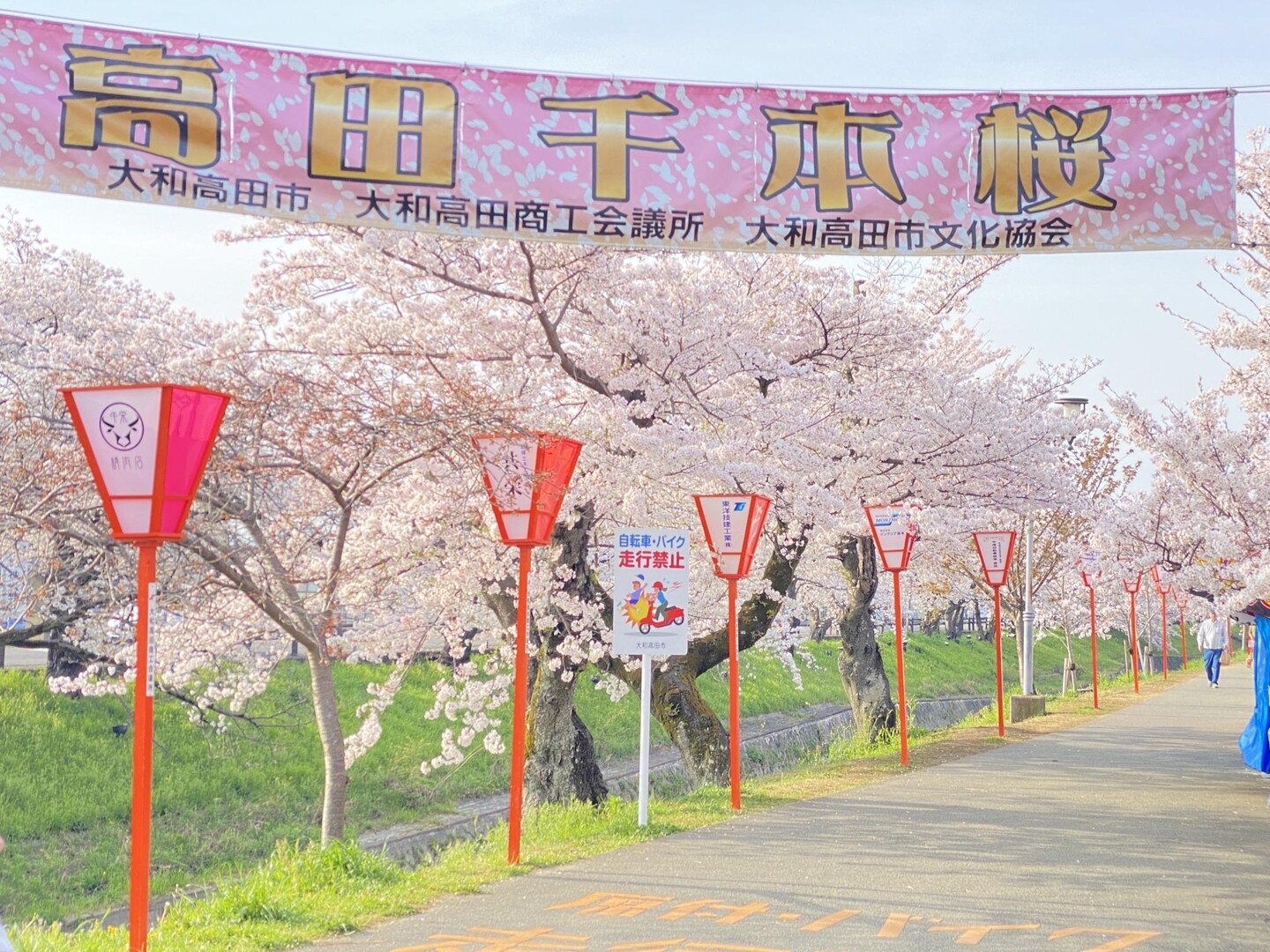 2024(R06).04.07（日） 昨... / furufuruさんのモーメント | YAMAP / ヤマップ