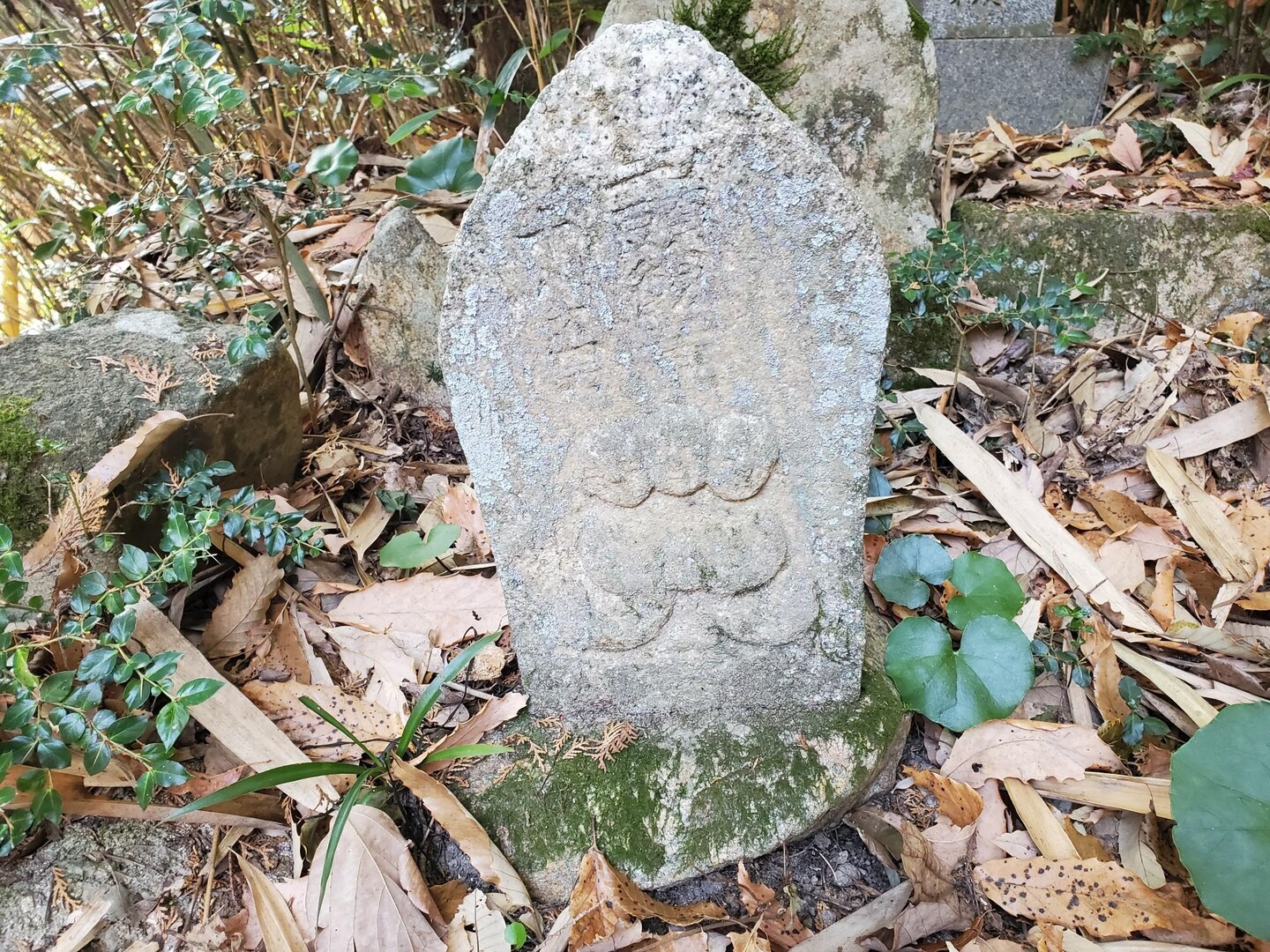 何じゃこりゃ？ しまなみの大三島の安神... / hirobonさんのモーメント | YAMAP / ヤマップ