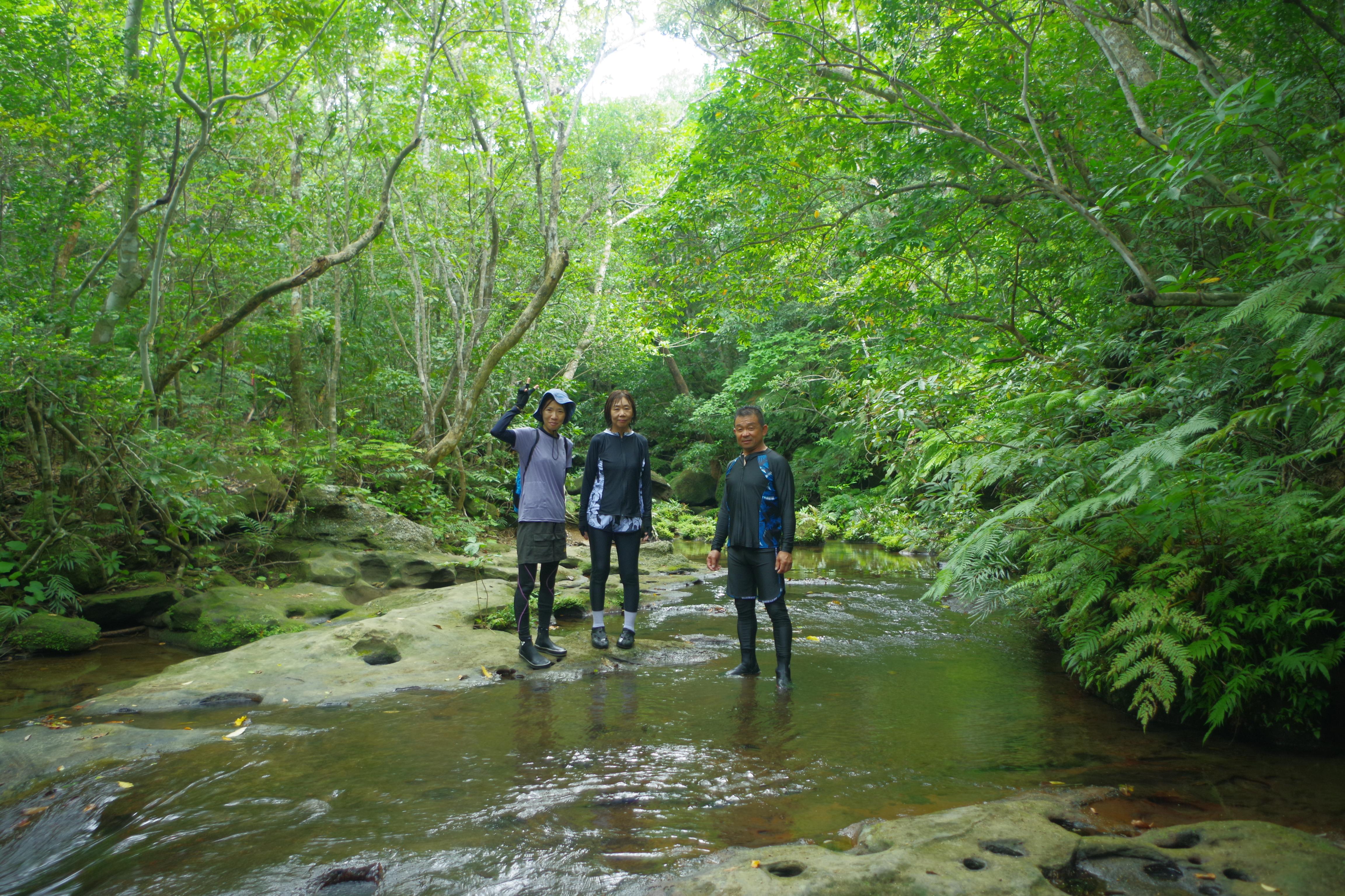 次は、ゲーダ川と大見謝川-2025-06-28 / ひさコウモリさんの西表島の活動日記 | YAMAP / ヤマップ