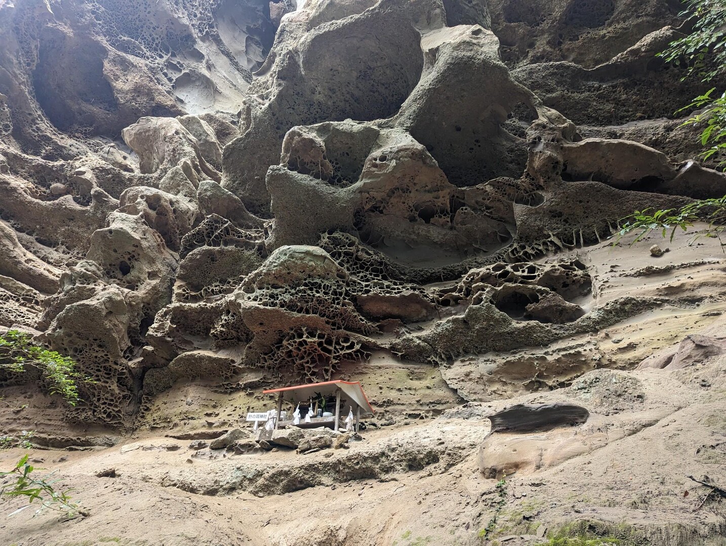 双石山 / hayatoさんの双石山・花切山・岩壺山の活動データ | YAMAP / ヤマップ