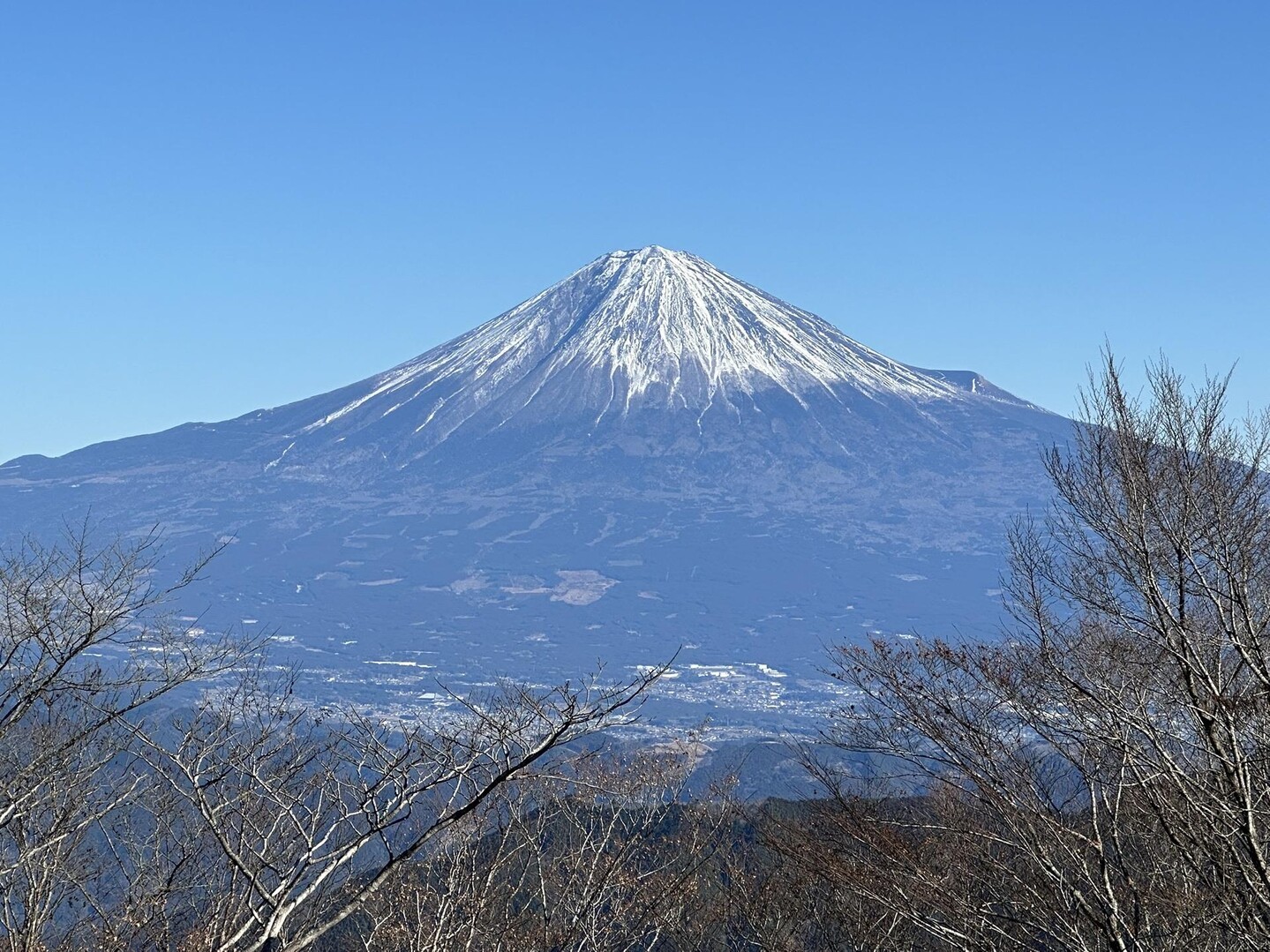 高ドッキョウ / nakaekoさんの貫ヶ岳・高ドッキョウの活動データ | YAMAP / ヤマップ