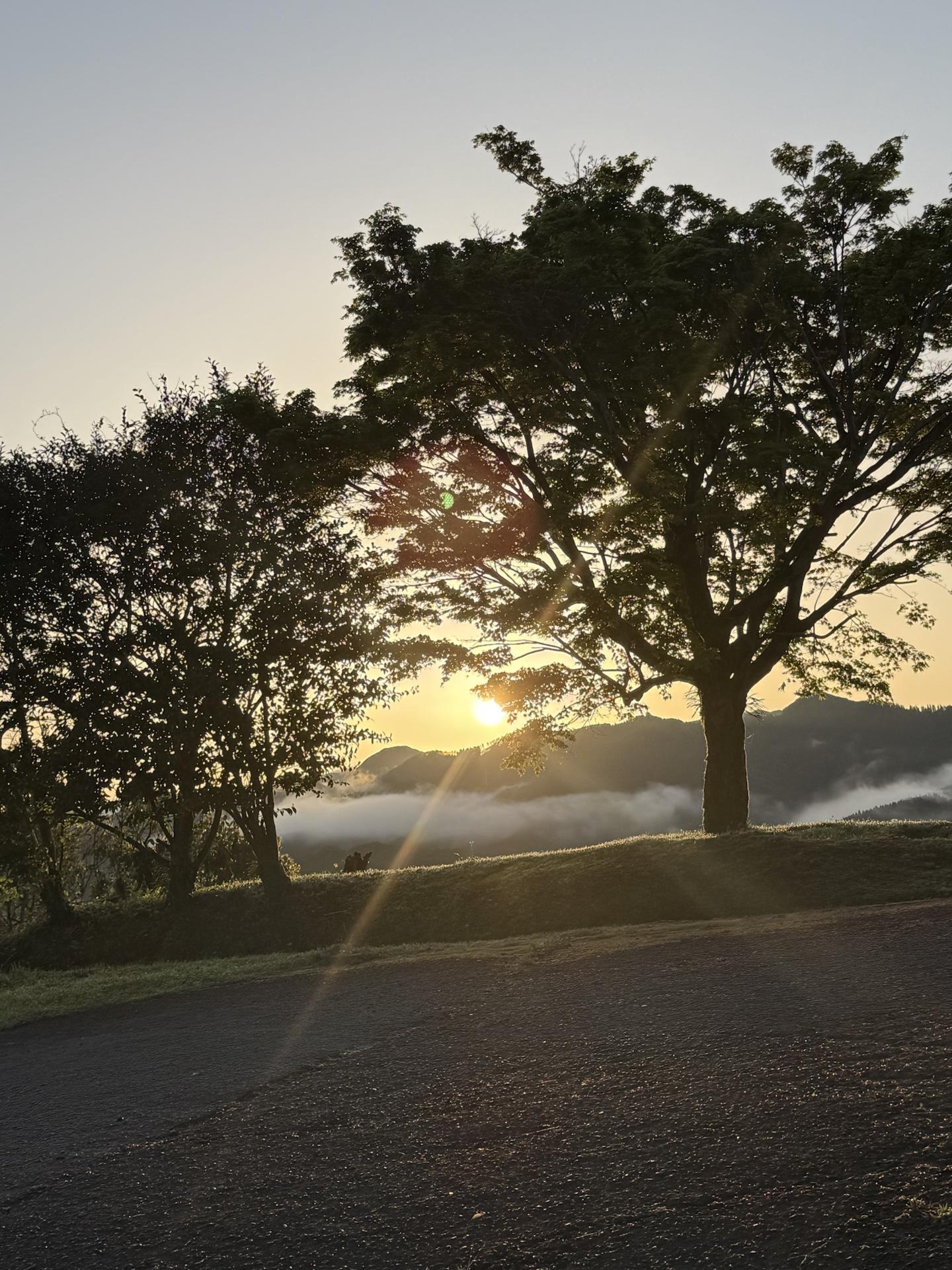 2025年金御岳トレーニング69回目 / cocoさんの金御岳の活動データ | YAMAP / ヤマップ