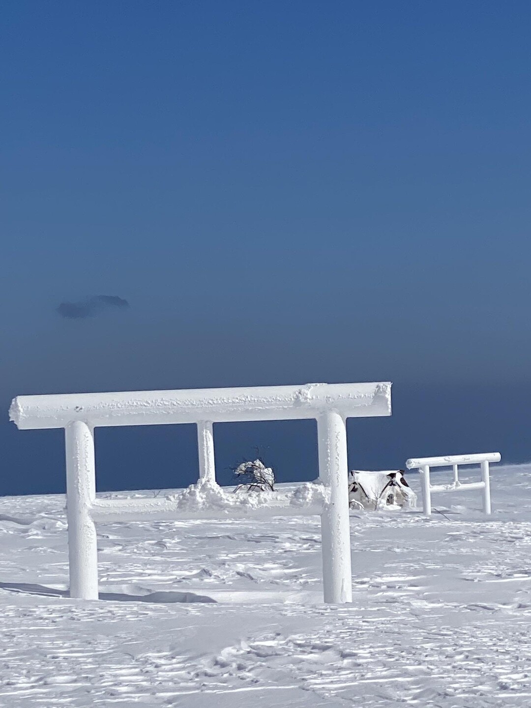 横津岳 / ma-koさんの横津岳・袴腰岳（袴腰山）の活動データ | YAMAP / ヤマップ