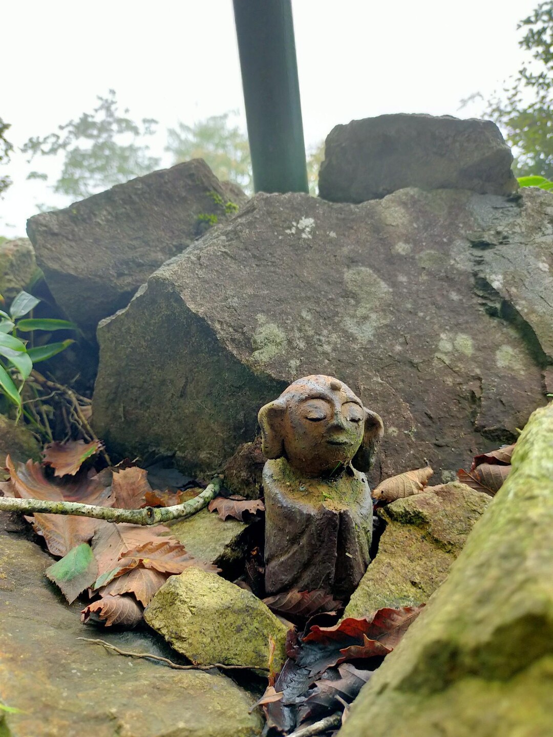 薬師岳・夕日岳 / konzoさんの夕日岳・薬師岳の活動データ | YAMAP / ヤマップ