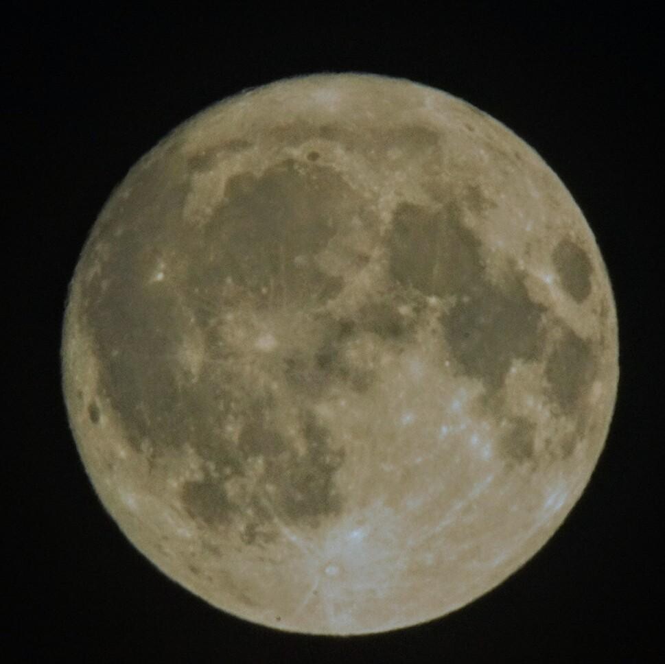 今宵の月 / tsuj28さんのモーメント | YAMAP / ヤマップ