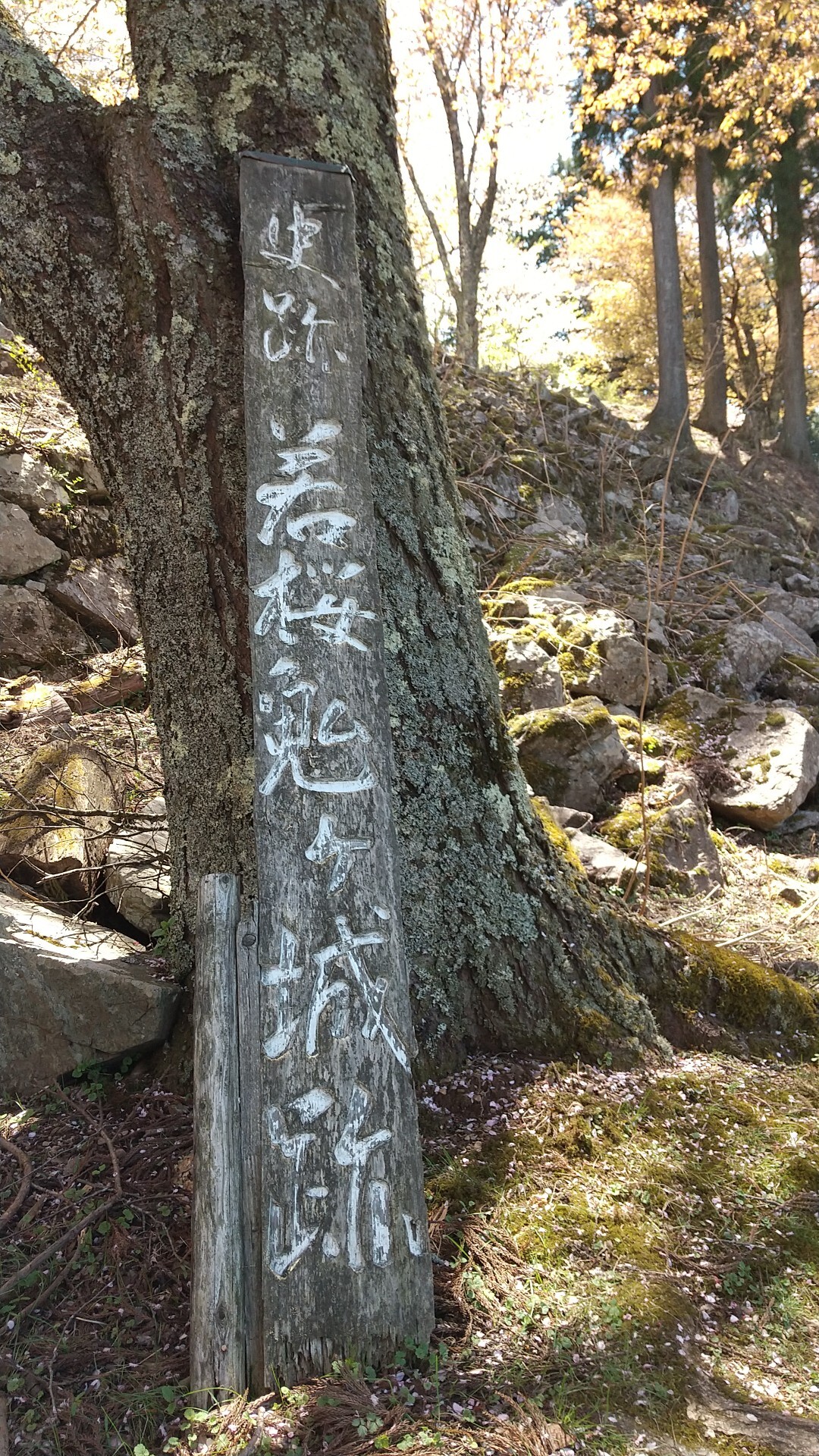 若桜鬼ケ城🏯へ行って来ました🎵 山砦... / jujuさんのモーメント | YAMAP / ヤマップ