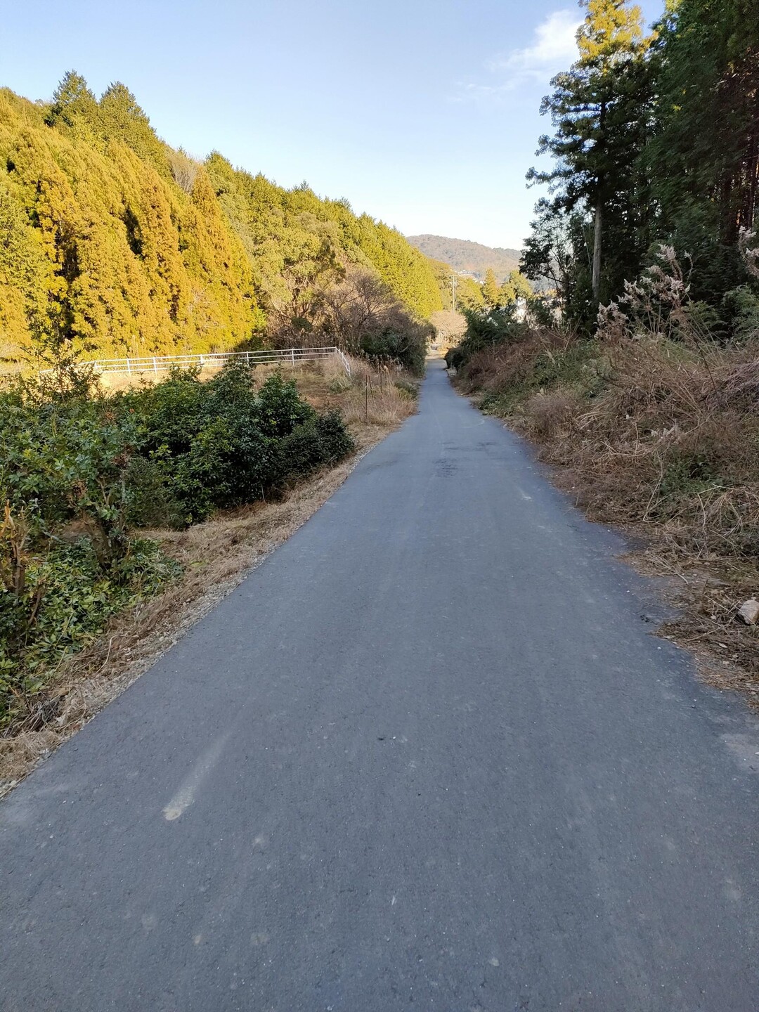 miyaさんの投稿したフィールドメモ | YAMAP / ヤマップ