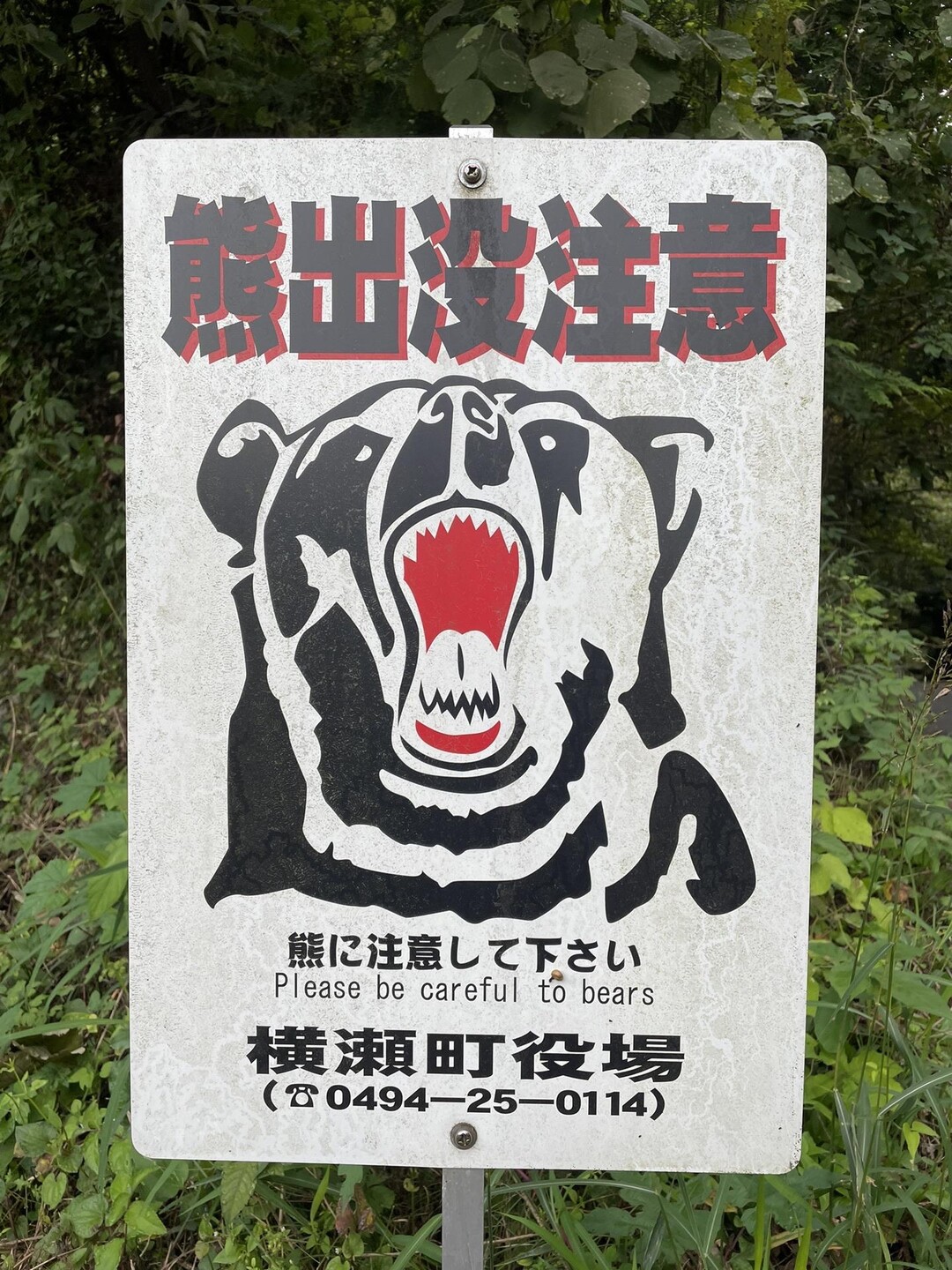 FTR秩父30K 試走 / ボリ45さんの丸山の活動データ | YAMAP / ヤマップ