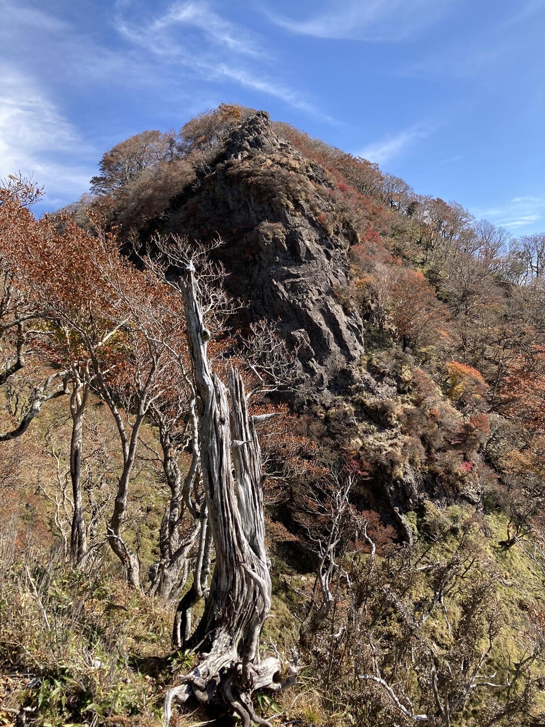祖母山 / H I RO爺さんの祖母山の活動データ | YAMAP / ヤマップ