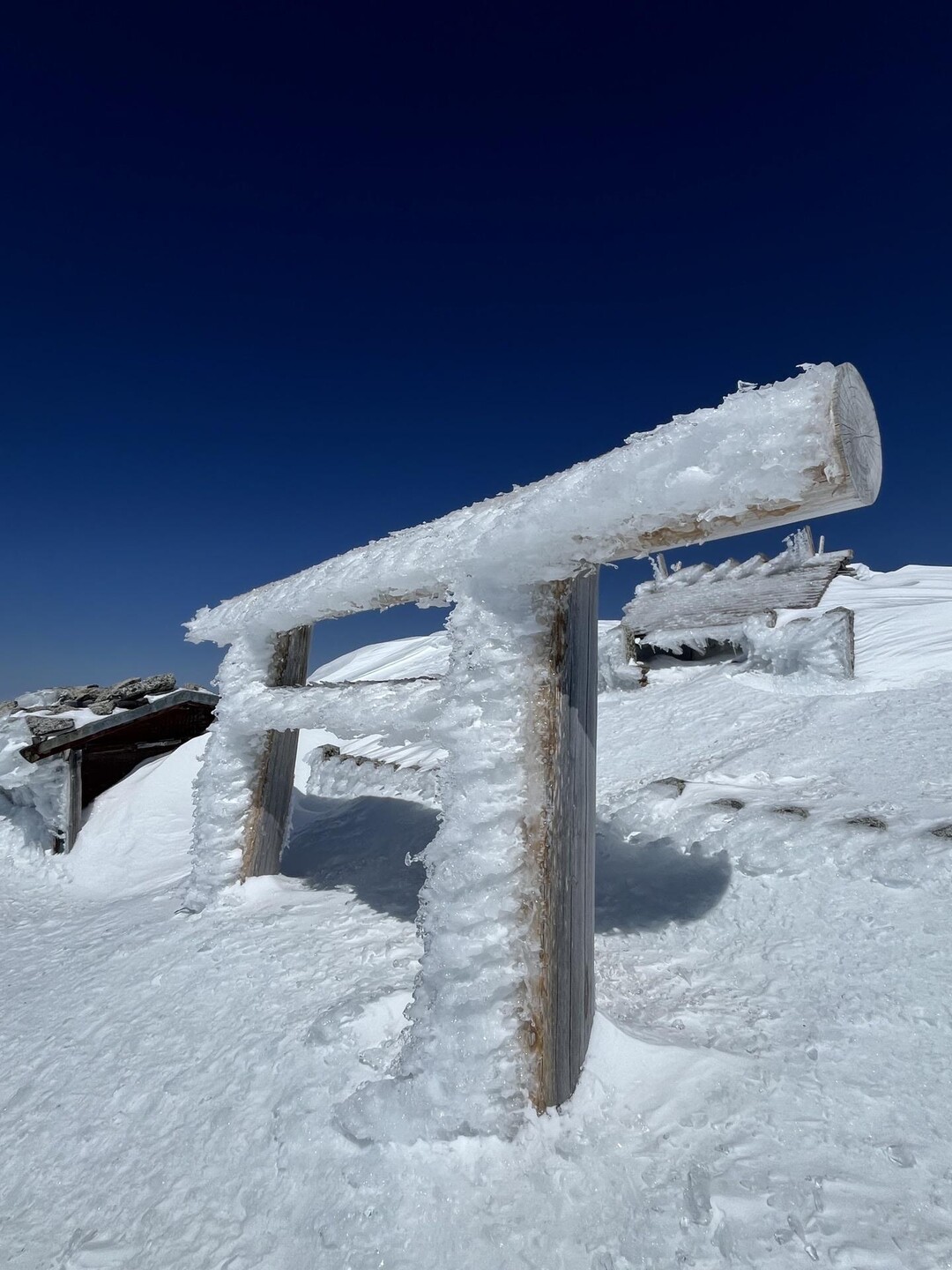 快晴だよ☀️木曽駒ヶ岳 / 良 ⛩ OKDさんの木曽駒ヶ岳・空木岳・越百山の活動データ | YAMAP / ヤマップ