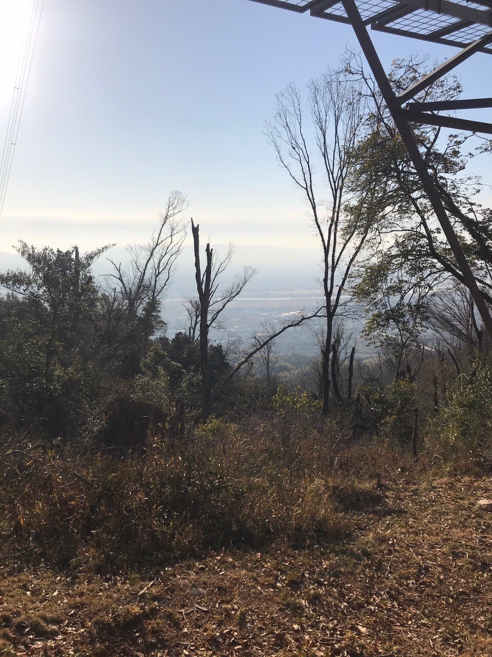 ぷーさん5646さんの投稿したフィールドメモ | YAMAP / ヤマップ