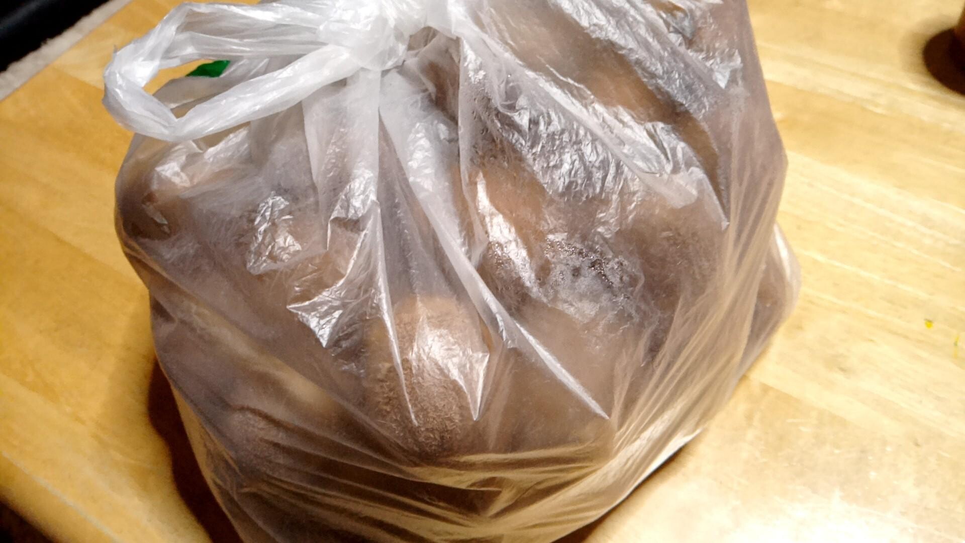 最後のキューイ 70/2000😋 / 草もちさんのモーメント | YAMAP / ヤマップ