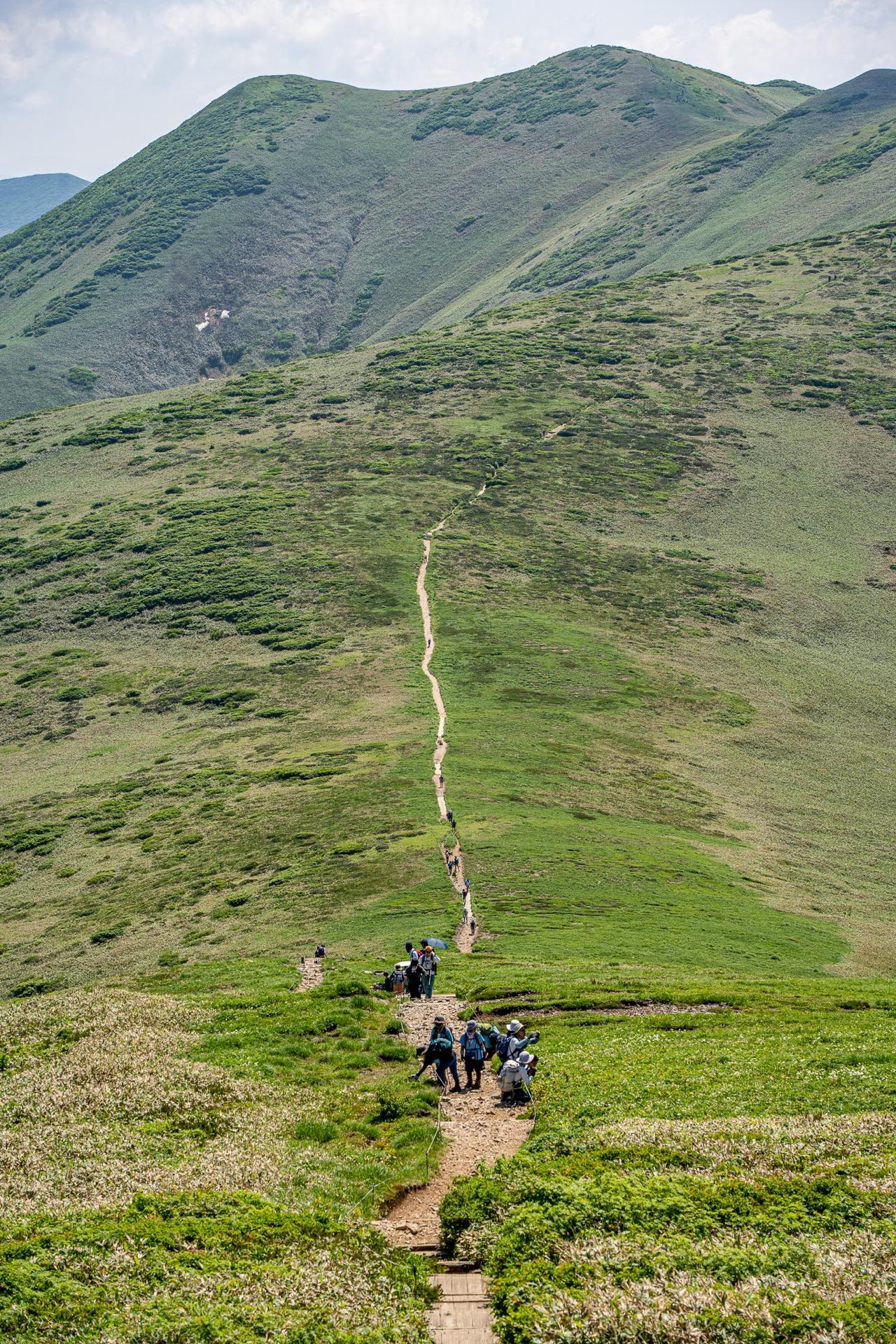 松手山・平標山 / アッキャンさんの仙ノ倉山・平標山・大源太山の活動日記 | YAMAP / ヤマップ