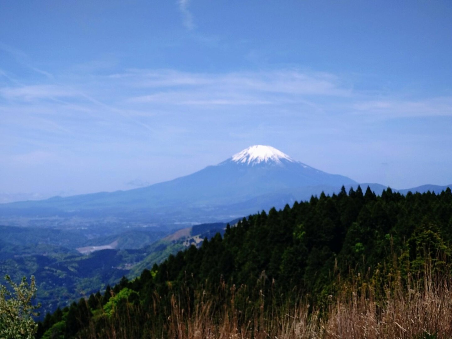 高松山・松田山 / reonさんの高松山・大野山の活動データ | YAMAP / ヤマップ